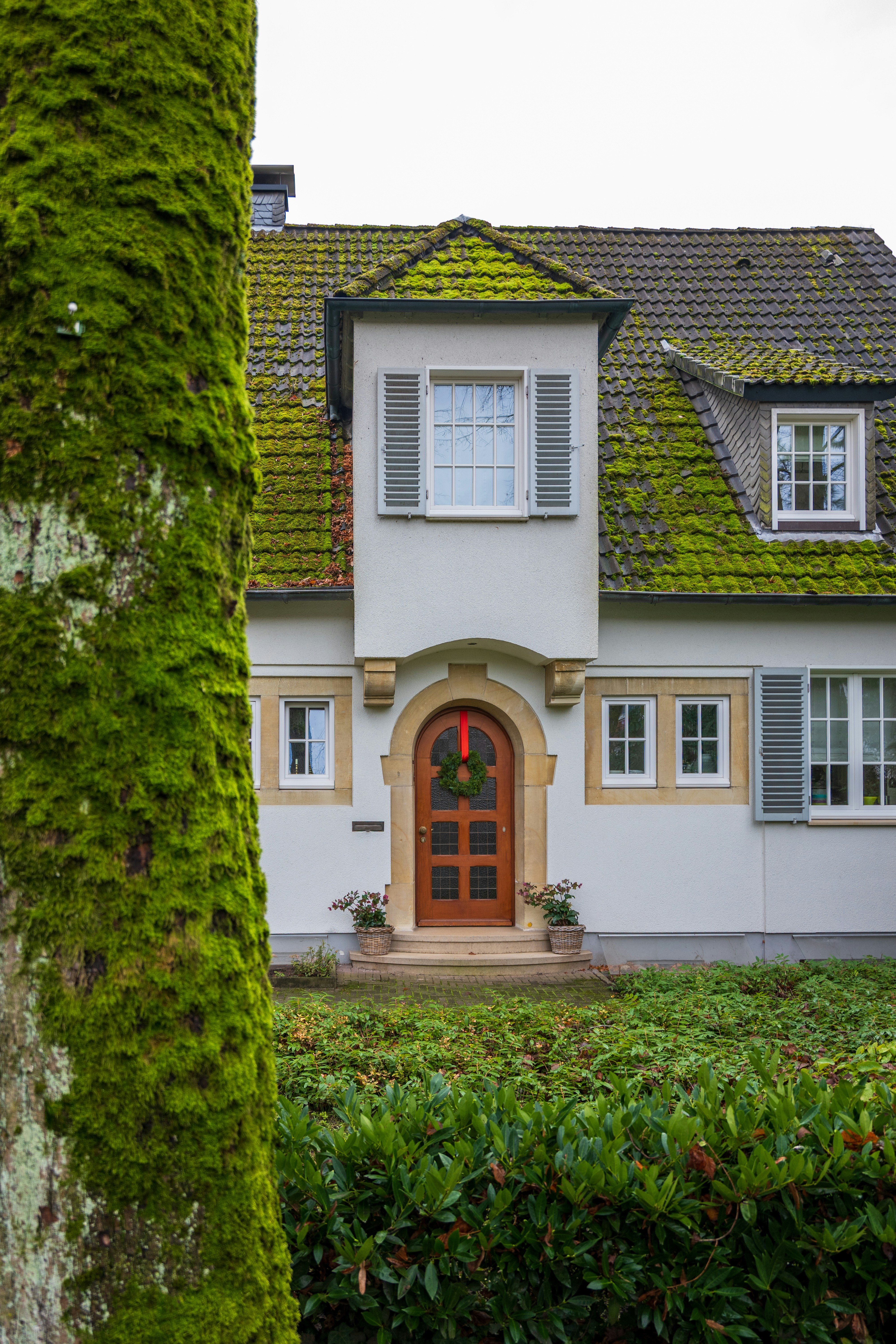 Moss-Coded Facade: A Quiet Village Reach of an Elm-Trimmed Manor