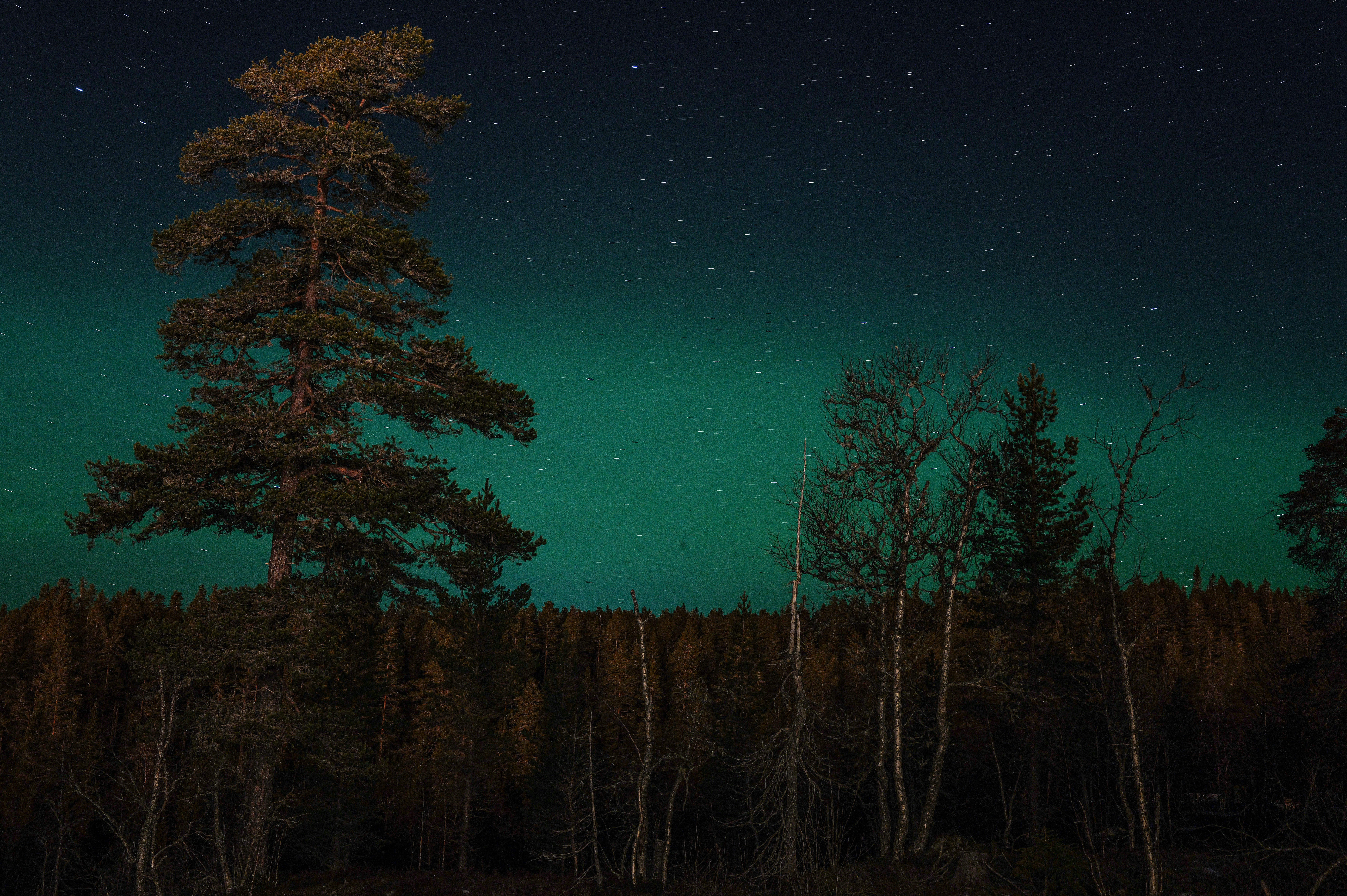 Photo by Sijmen van Hooff with Leica Q3 43