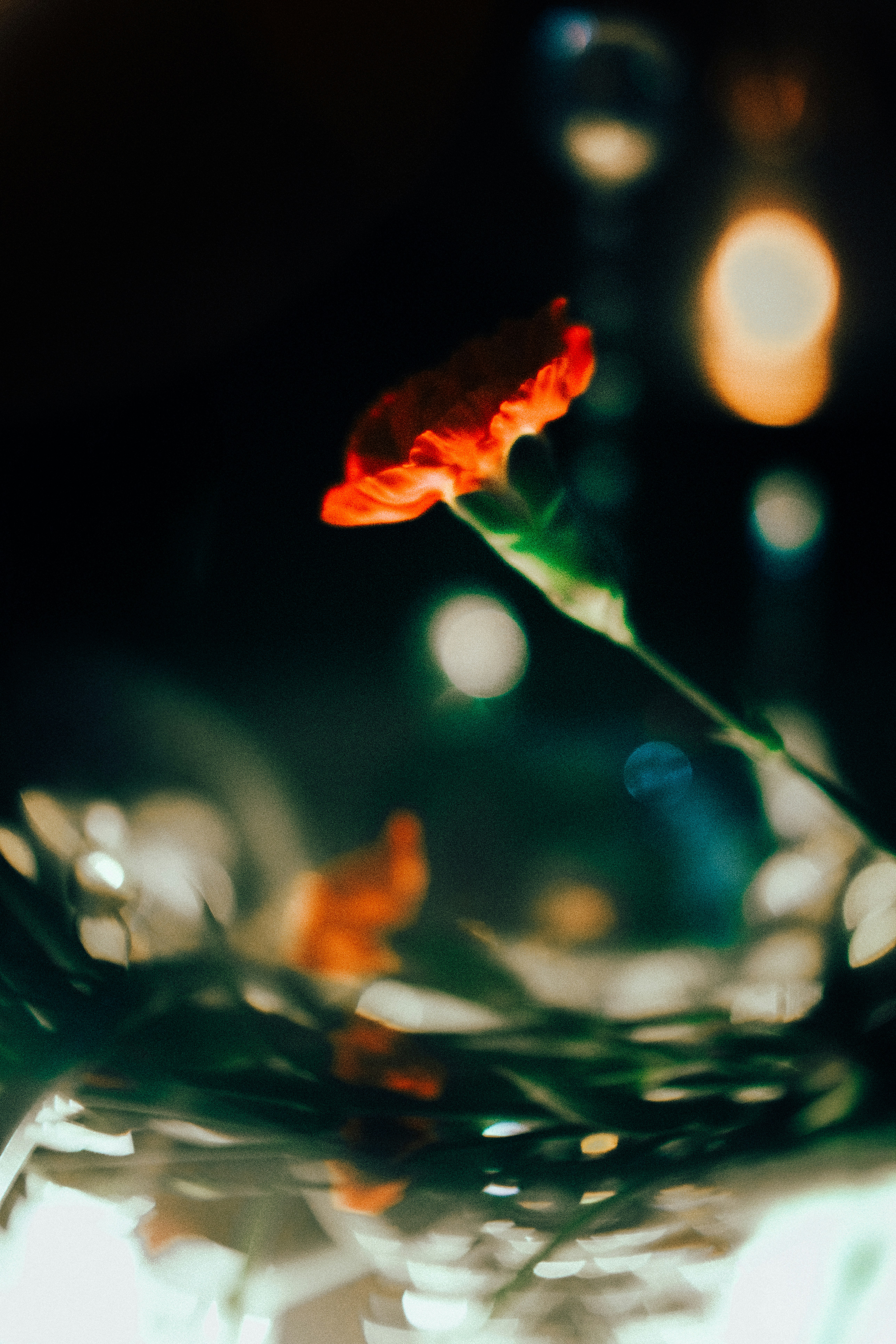 Fiery Petal Against Neon Night