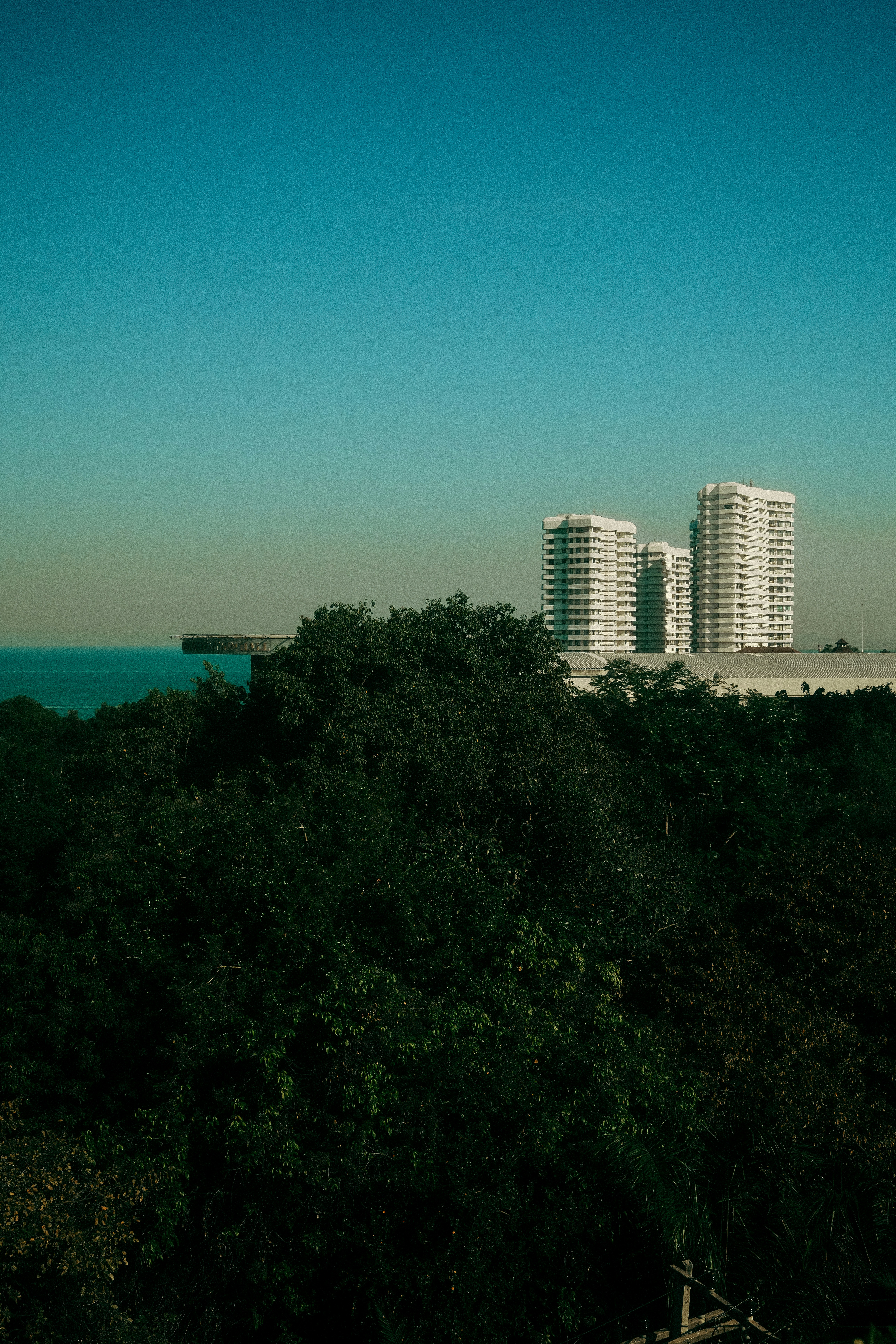 Coastal High-Rire: Towers Rising Over Coastal Foliage at Dusk