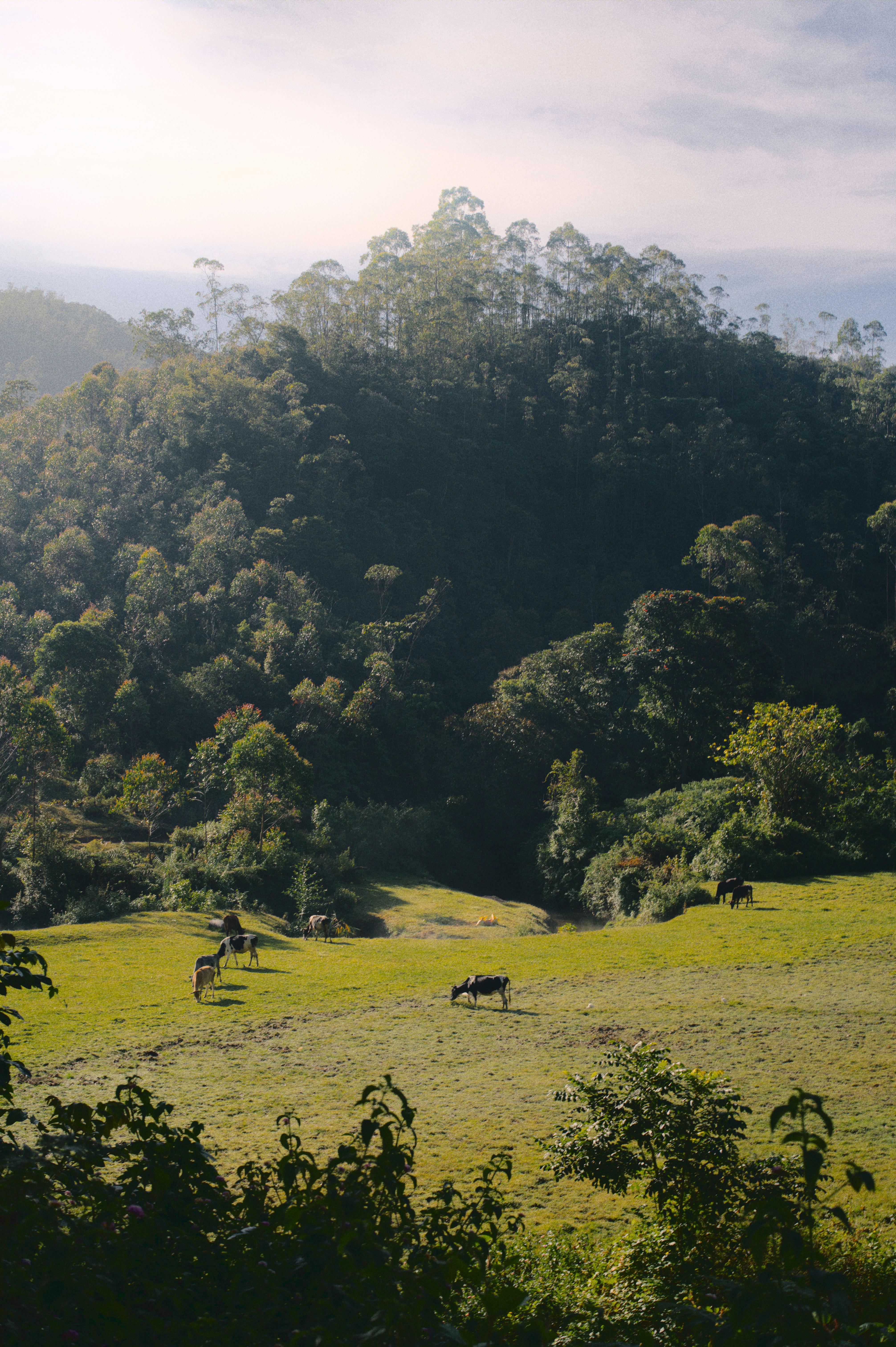 Anjith Paul (@anjithpaul) | Comunidade de fotos da Unsplash