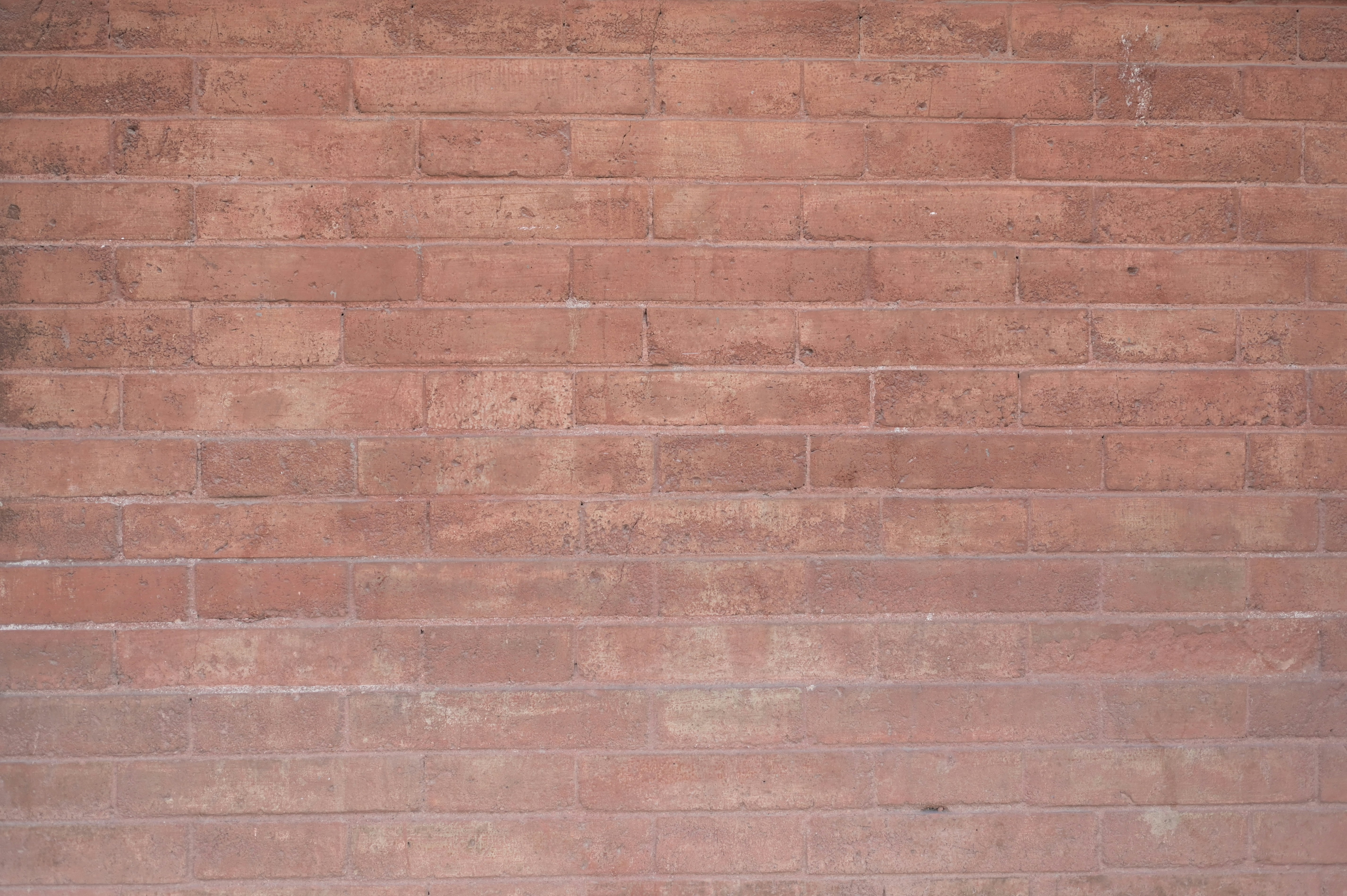 Photo by olga safronova with Nikon Z6 II