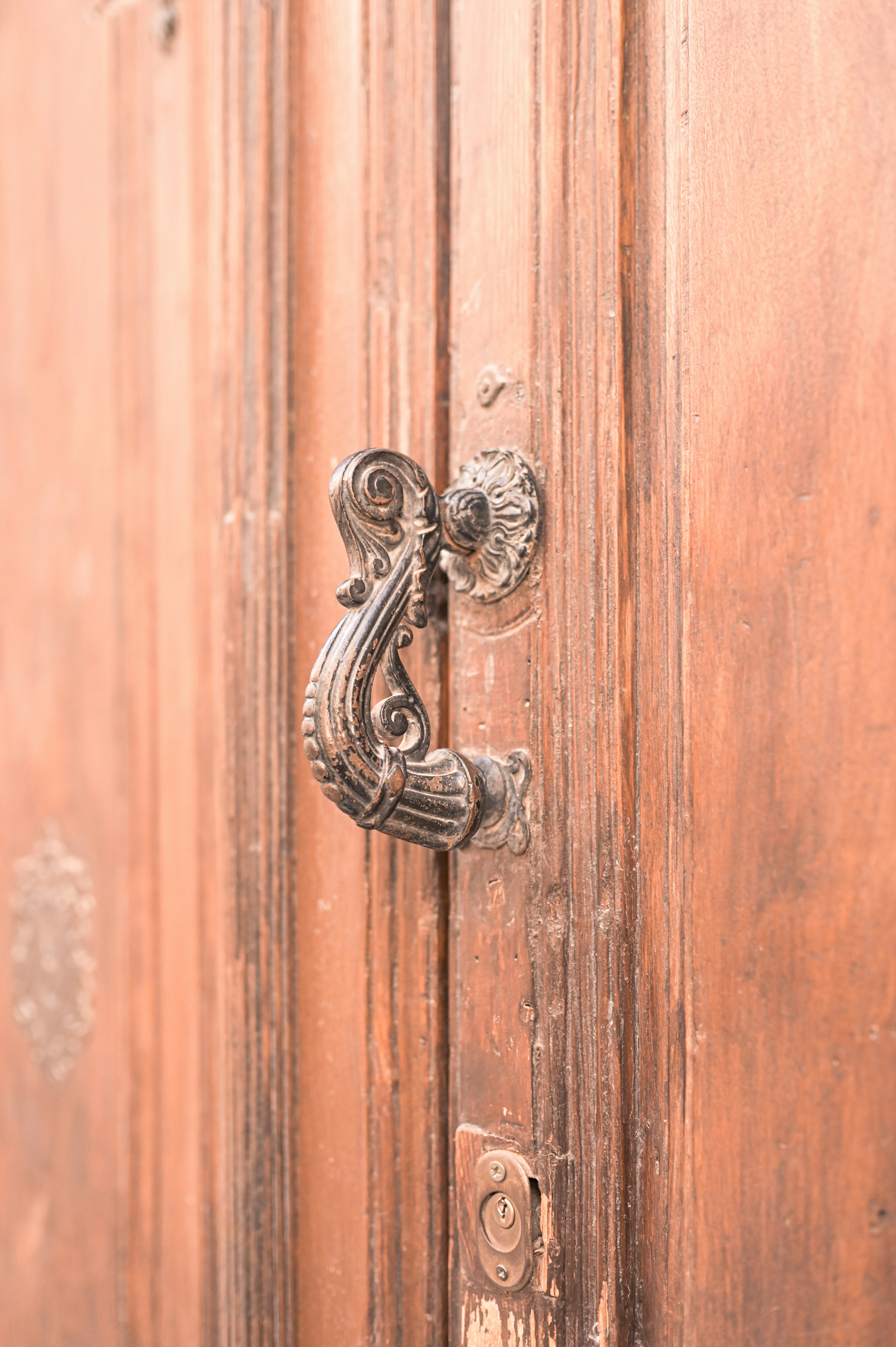 Ornate Door Handle in Quiet Architectural Quietude