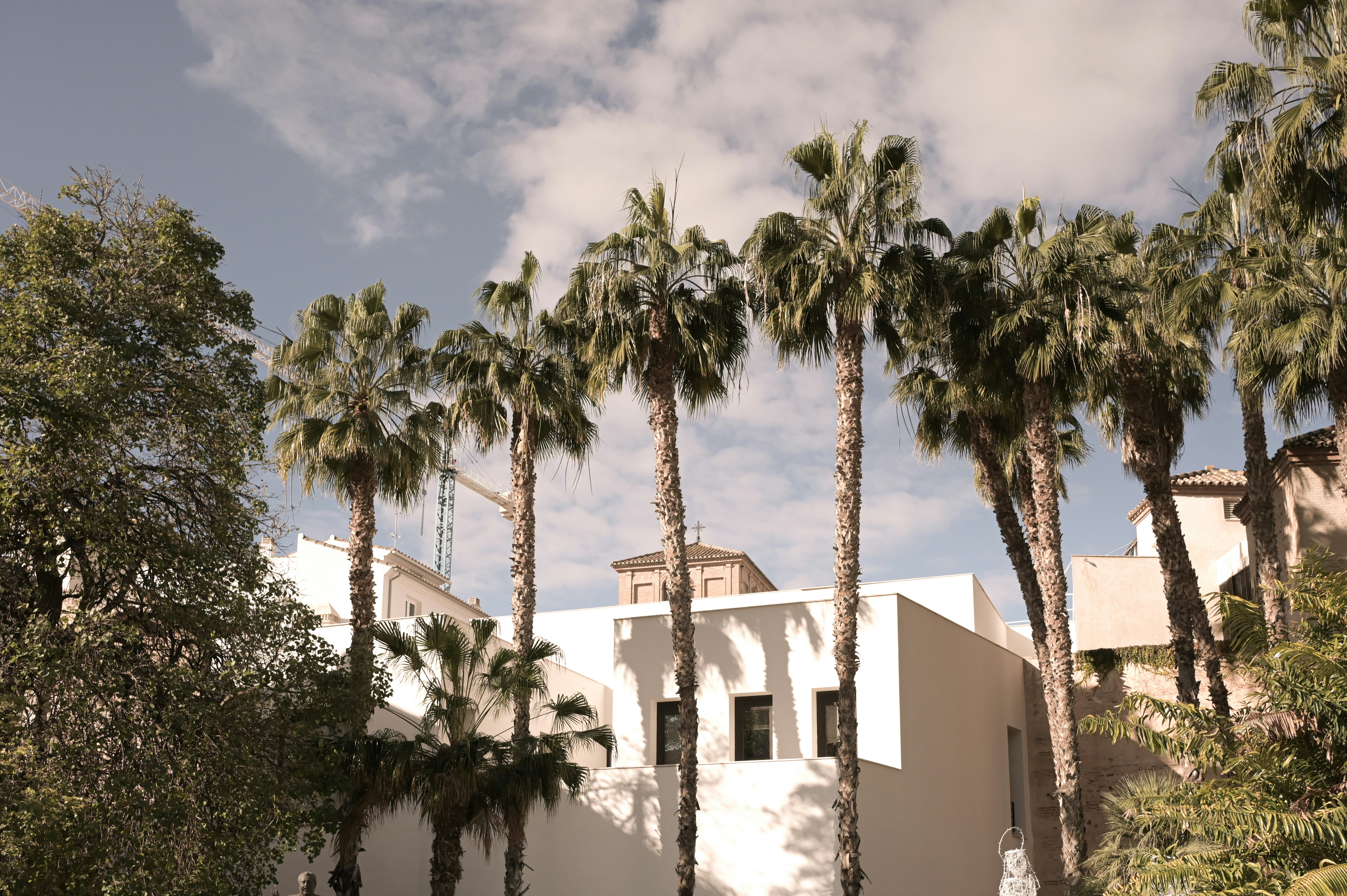 Photo by olga safronova with Nikon Z6 II