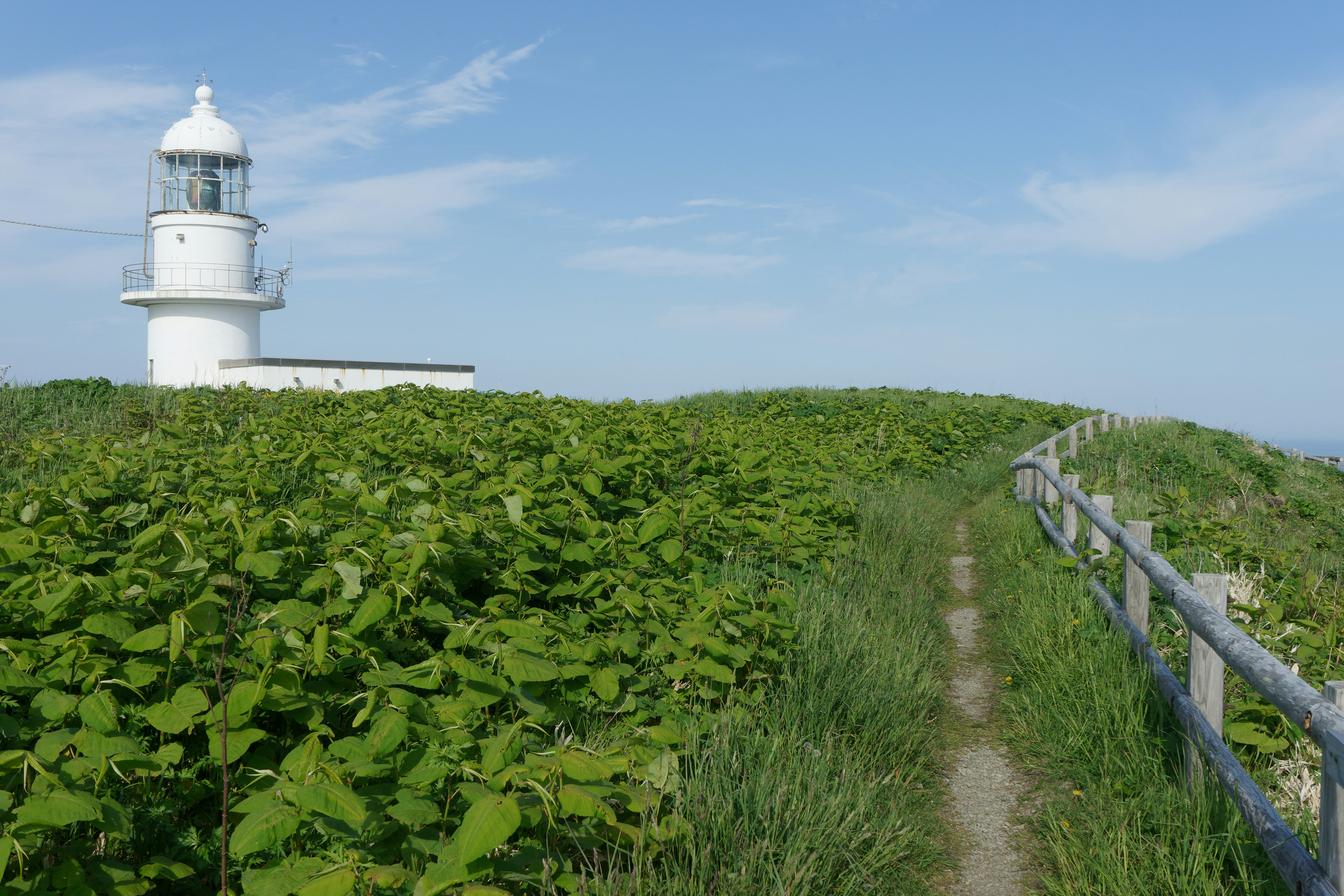 White Lighthouse at the Edge of Green Cliffs
