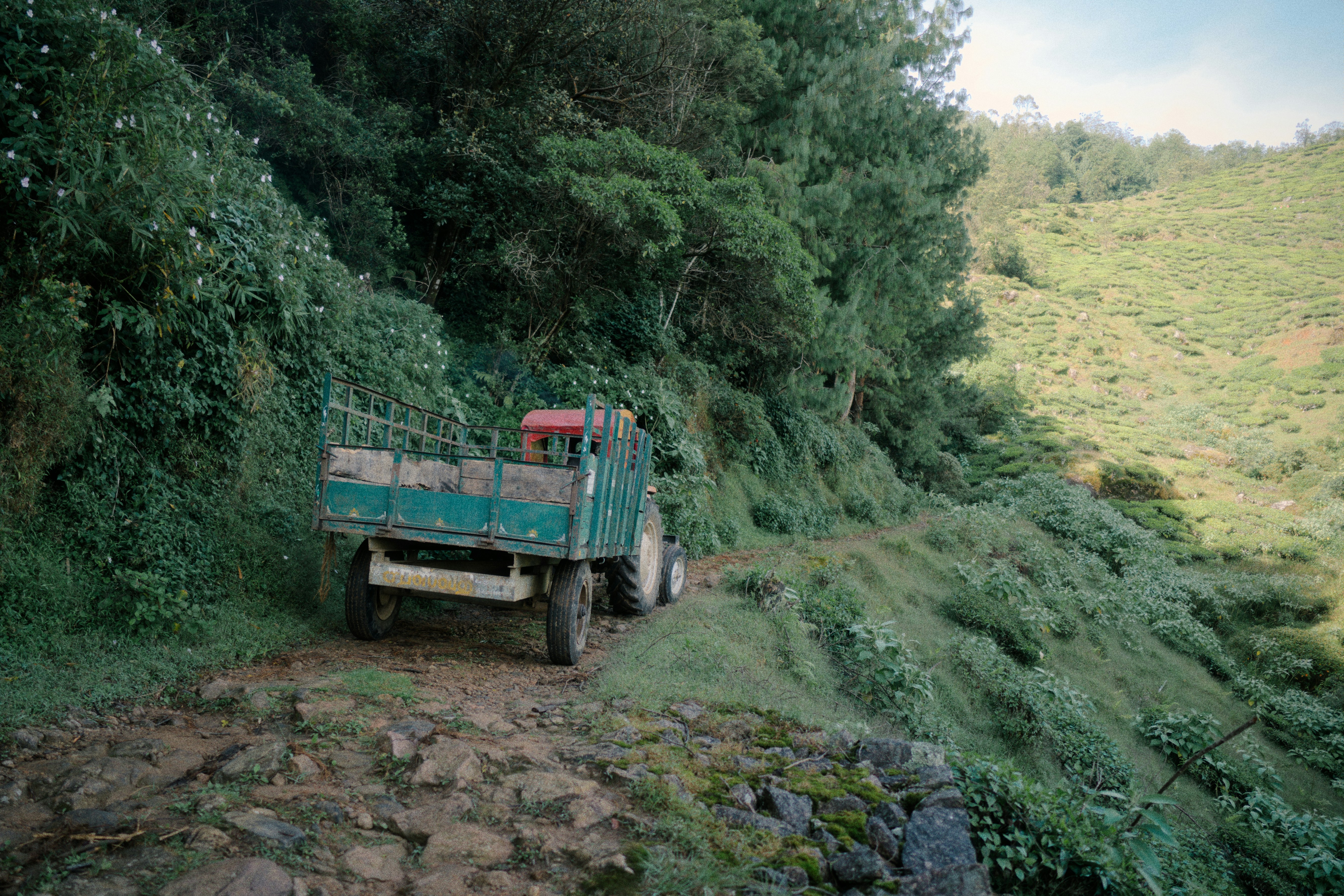 Camión conduciendo por un camino de tierra estrecho foto – Imagen de ...