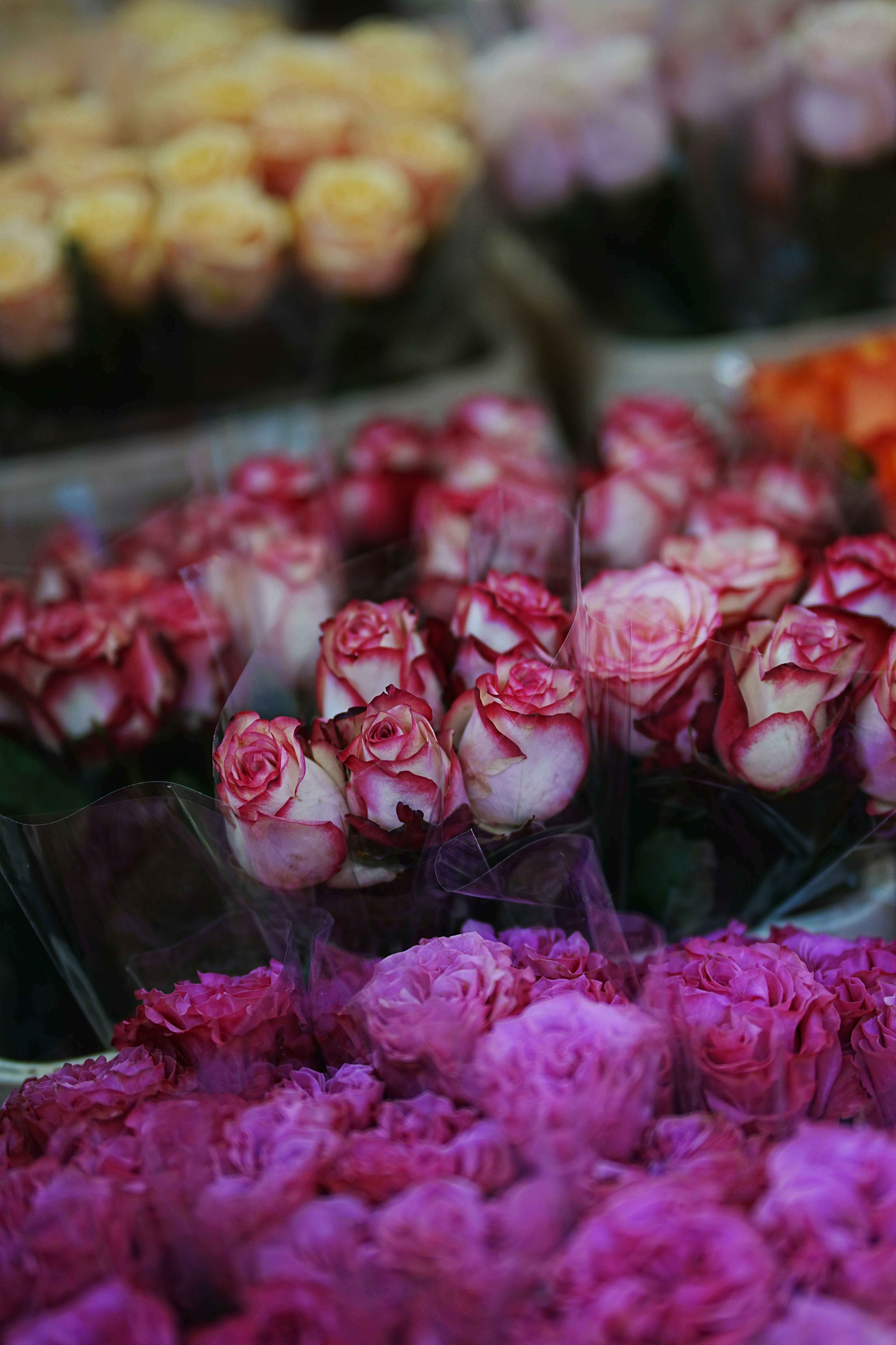 Rosy Bouquet Rows: A Close-Up of Spring Florals at a Market Stall
