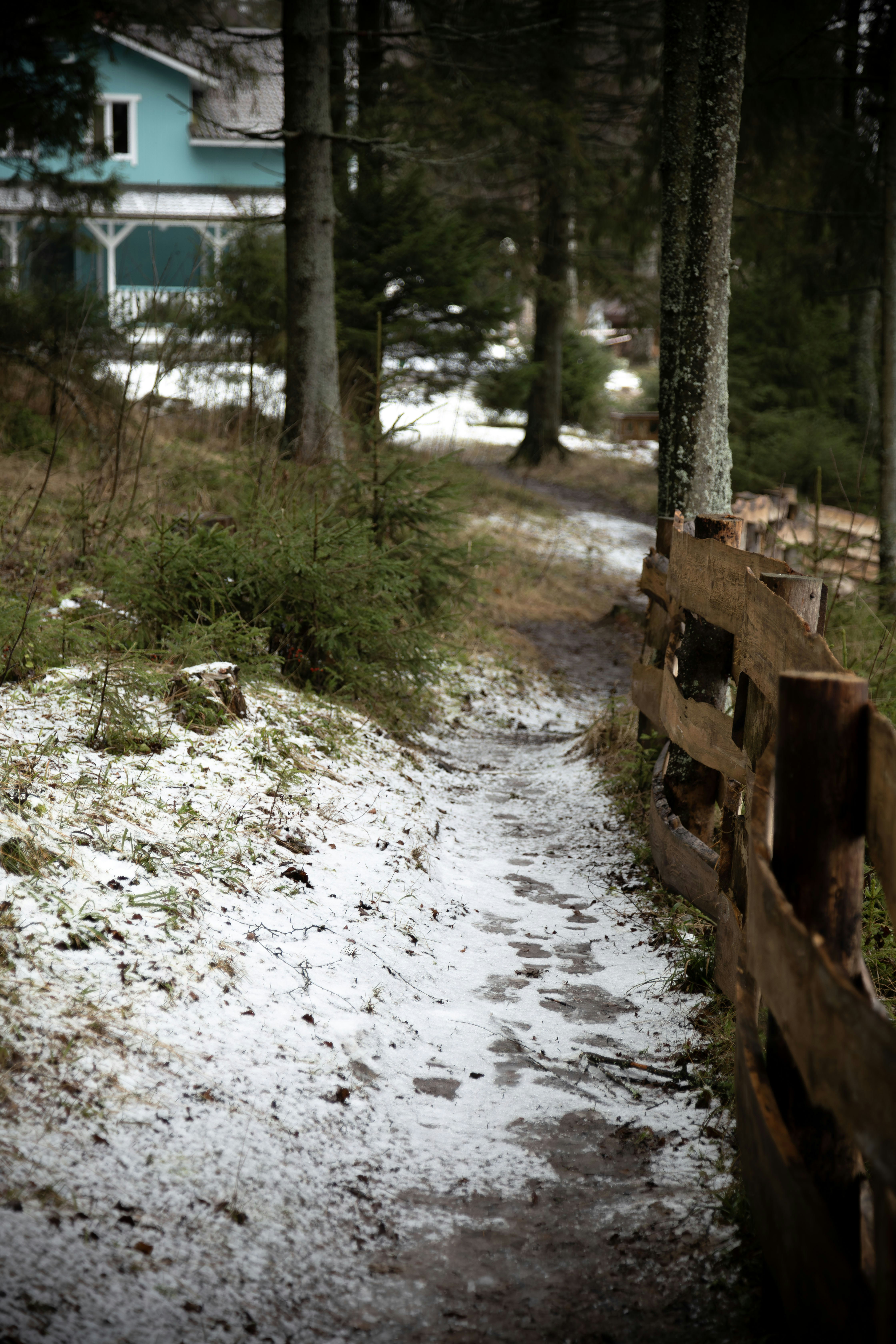 Snow-dusted forest path toward a teal cottage