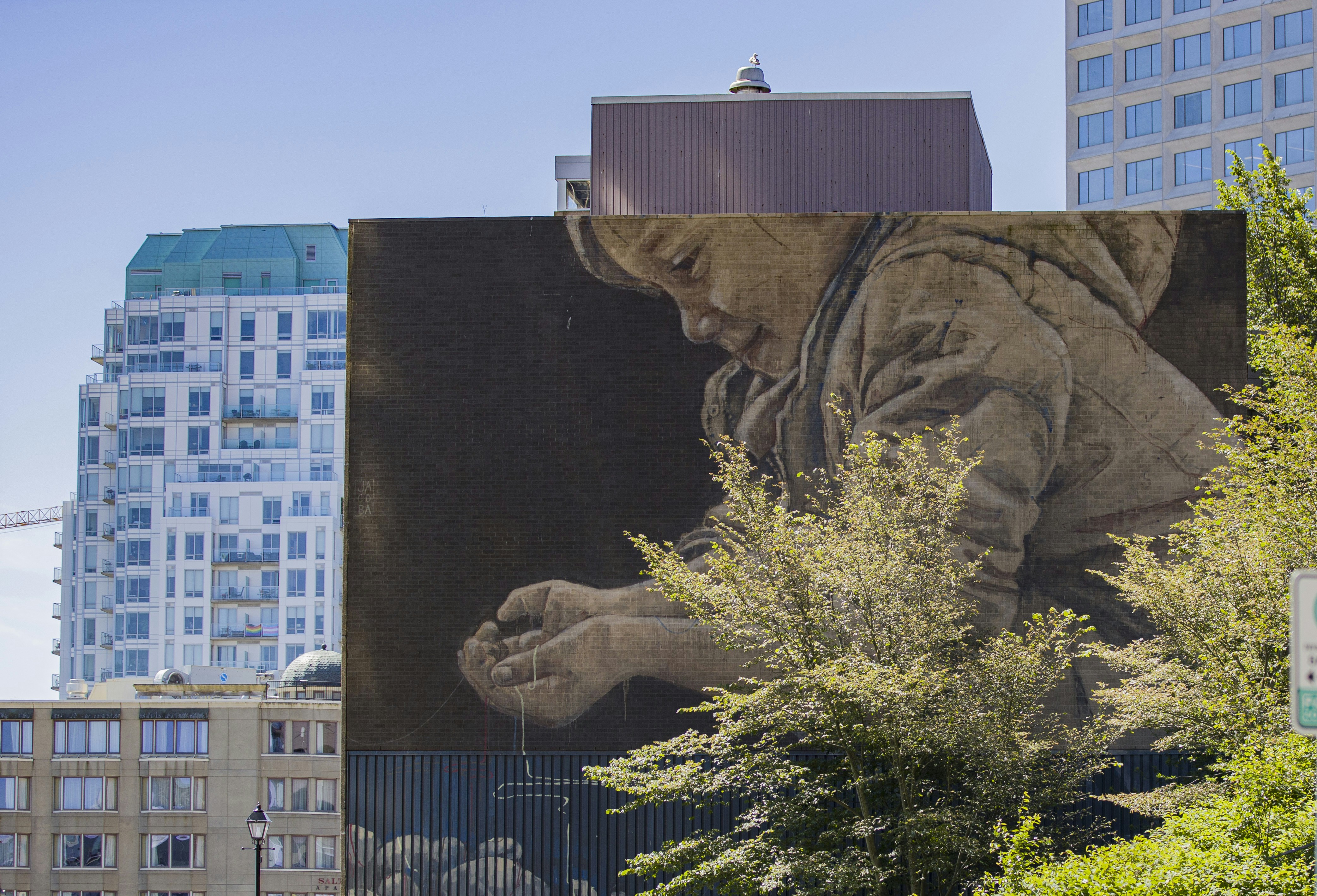 Photo by Andrei Costin with Canon EOS R