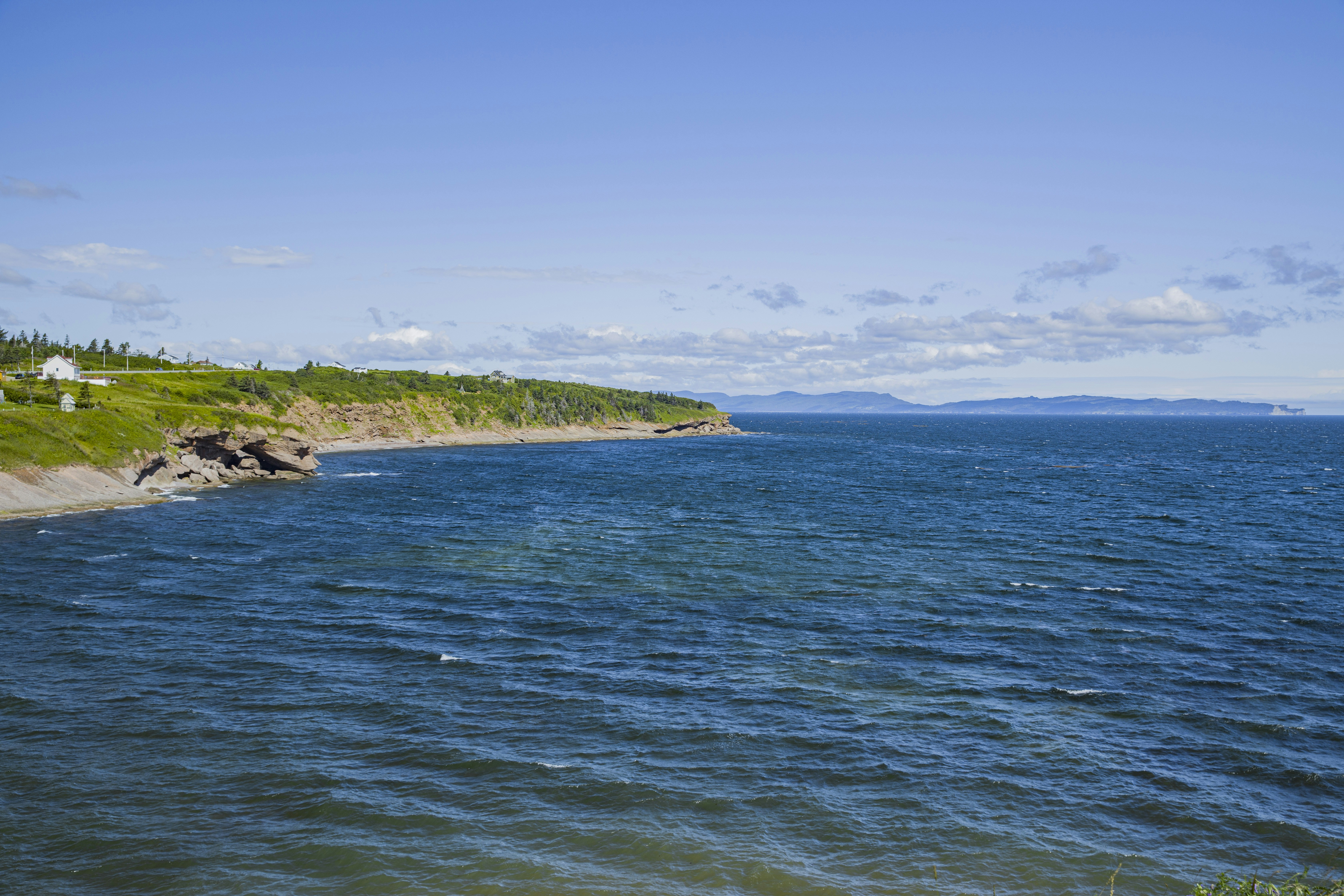 Coastal Edge: Green Cliffline Meeting the Open Sea