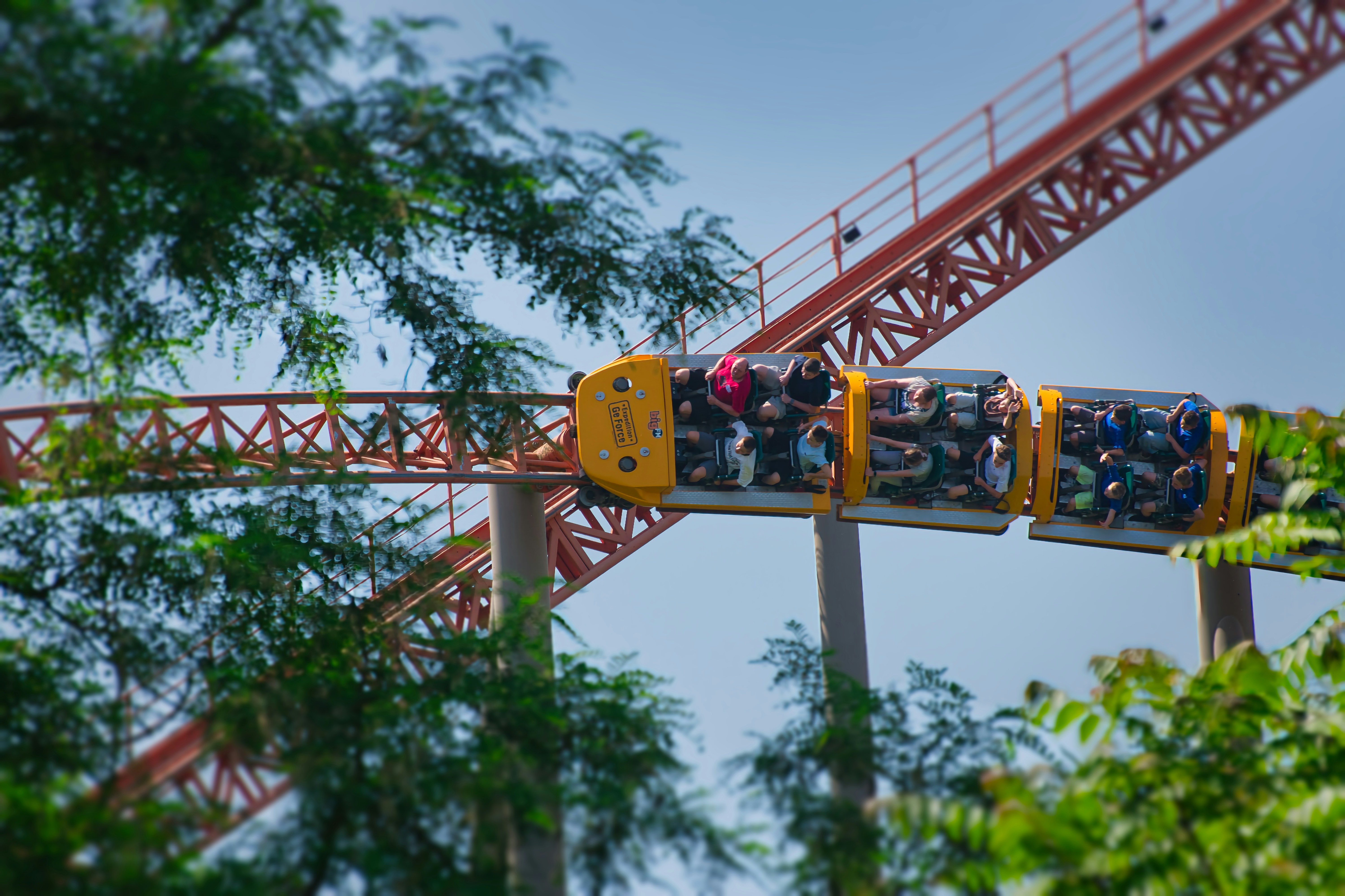 Thrill Rails: a suspended ride car crosses a sunlit canopy
