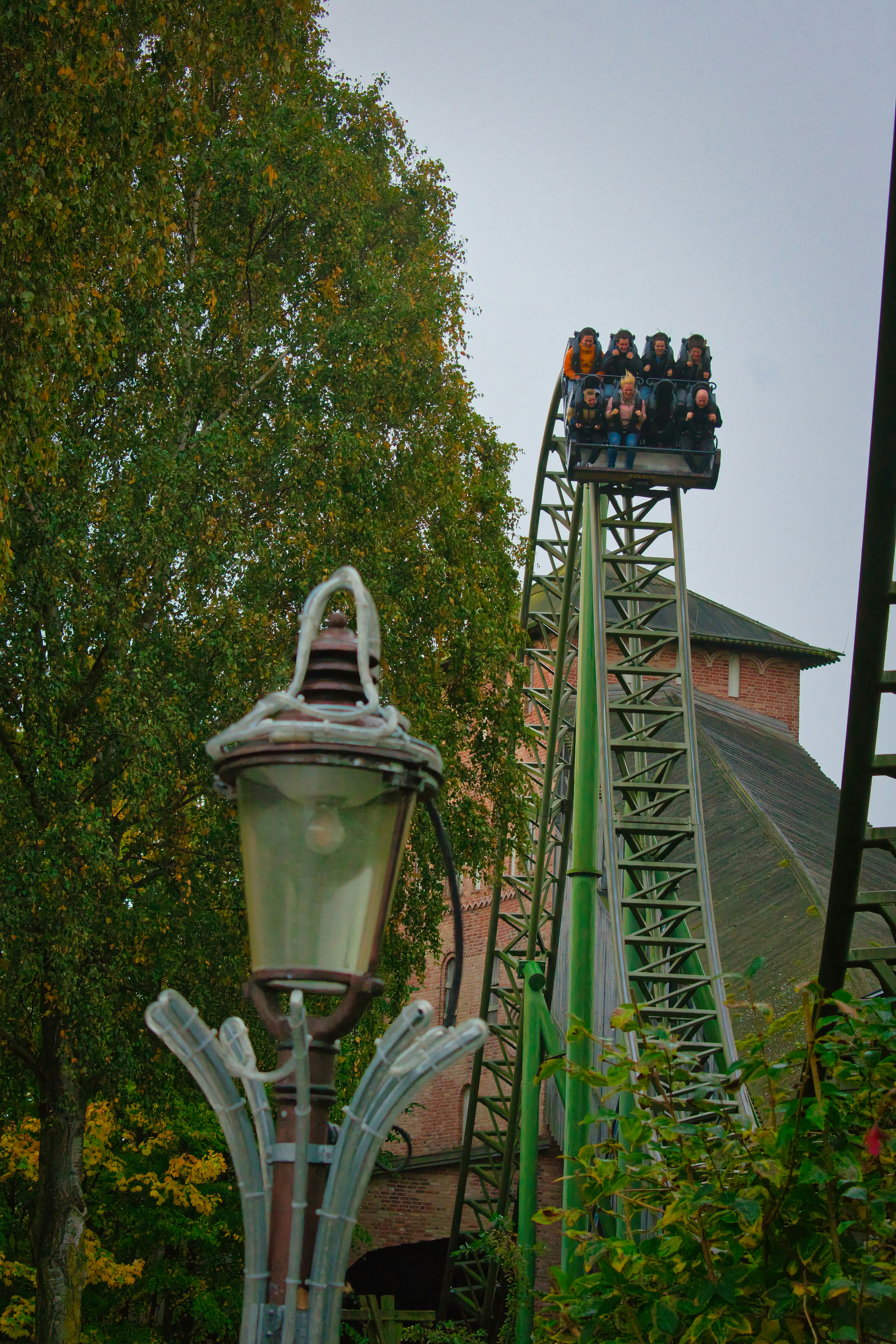 Riding the Edge: A Swift View of the Roller Coaster Car
