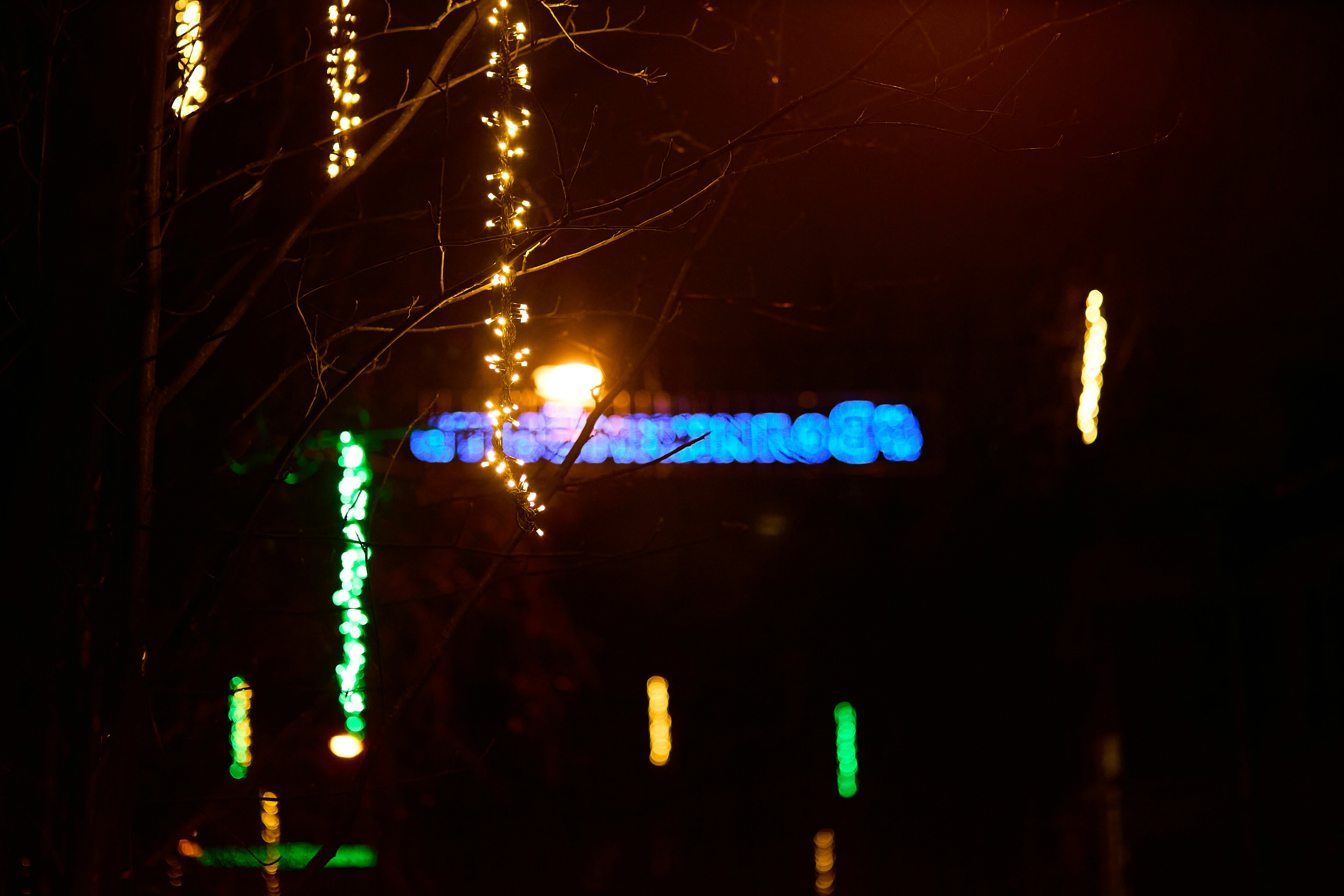 Neon Nightscape: Glimmering Strands in a Quiet Urban Glow