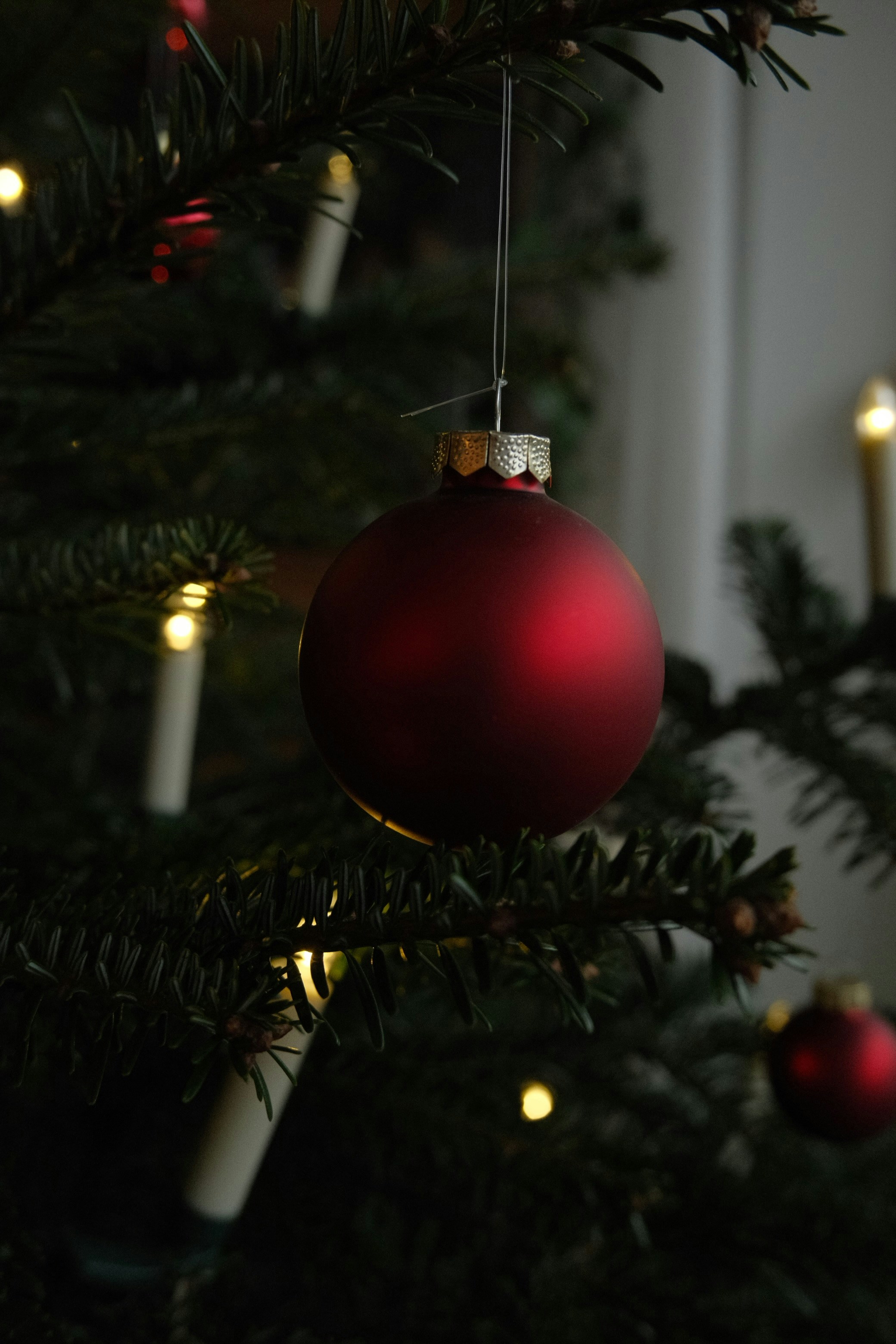 Photo by Amelie L with Fujifilm X-T30 III