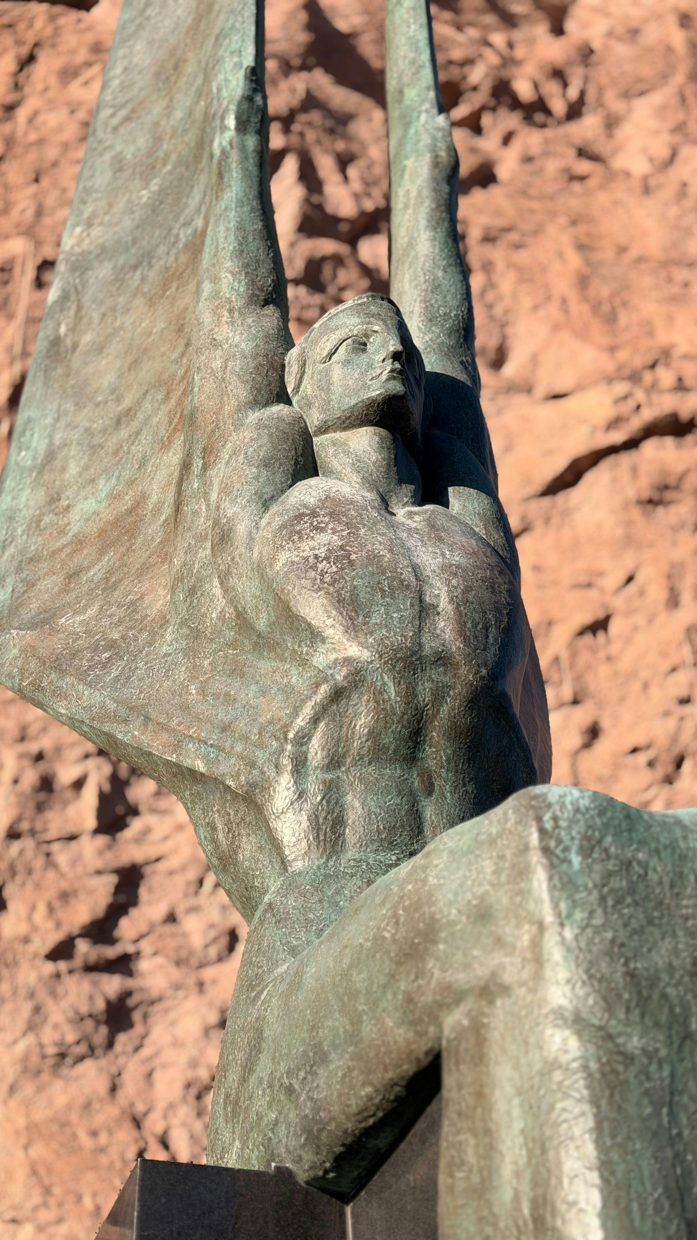 Surgical Shark (@surgicalshark) | Unsplash Photo Community