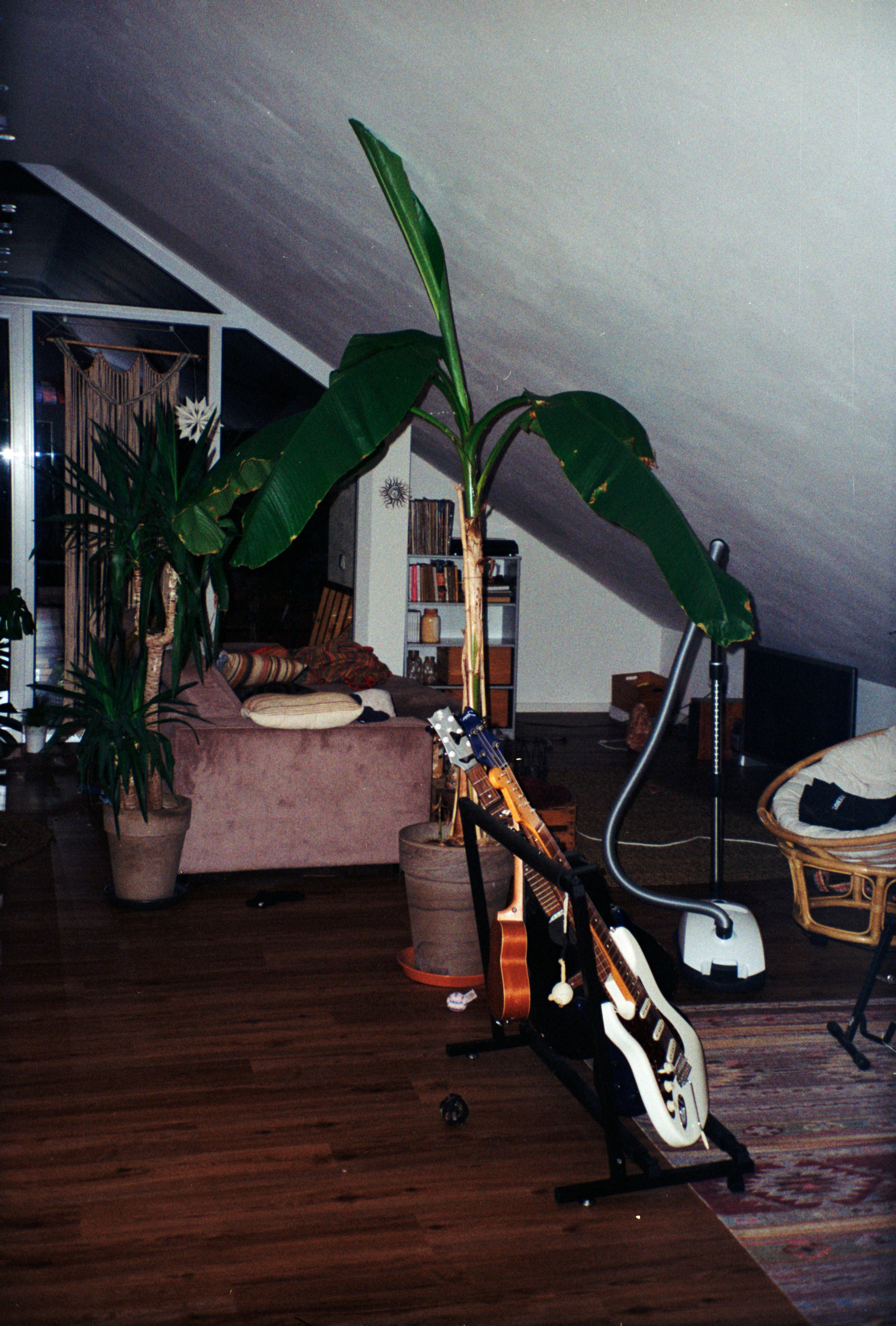 I lived like this for a while and not anymore. Shot on Kodak Gold 200 Film. My Best Film Work on my Website and my Pinterest.