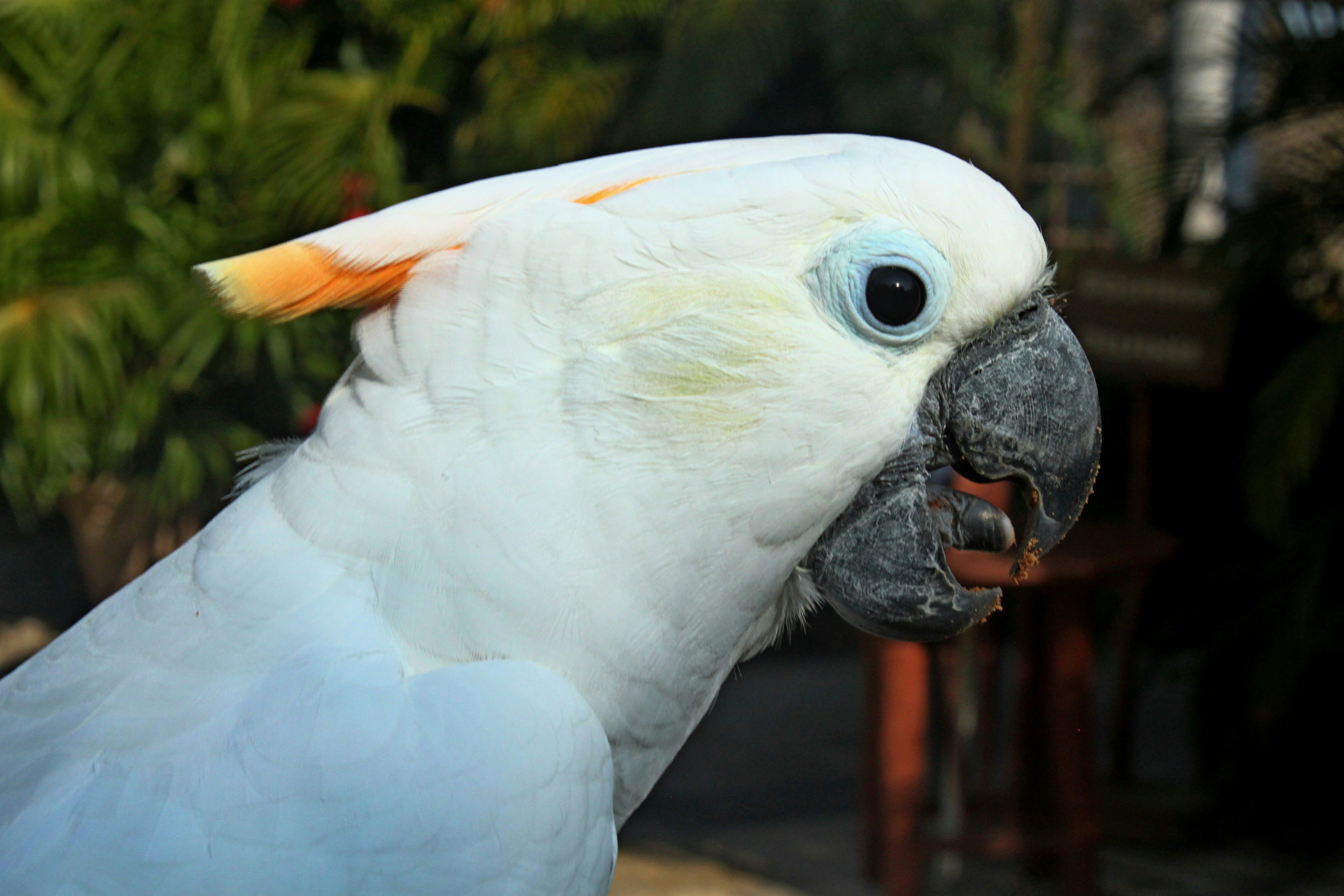 Photo created by Sherman Feller from Fanwood New Jersey, 07023 USA. Love you Dad.