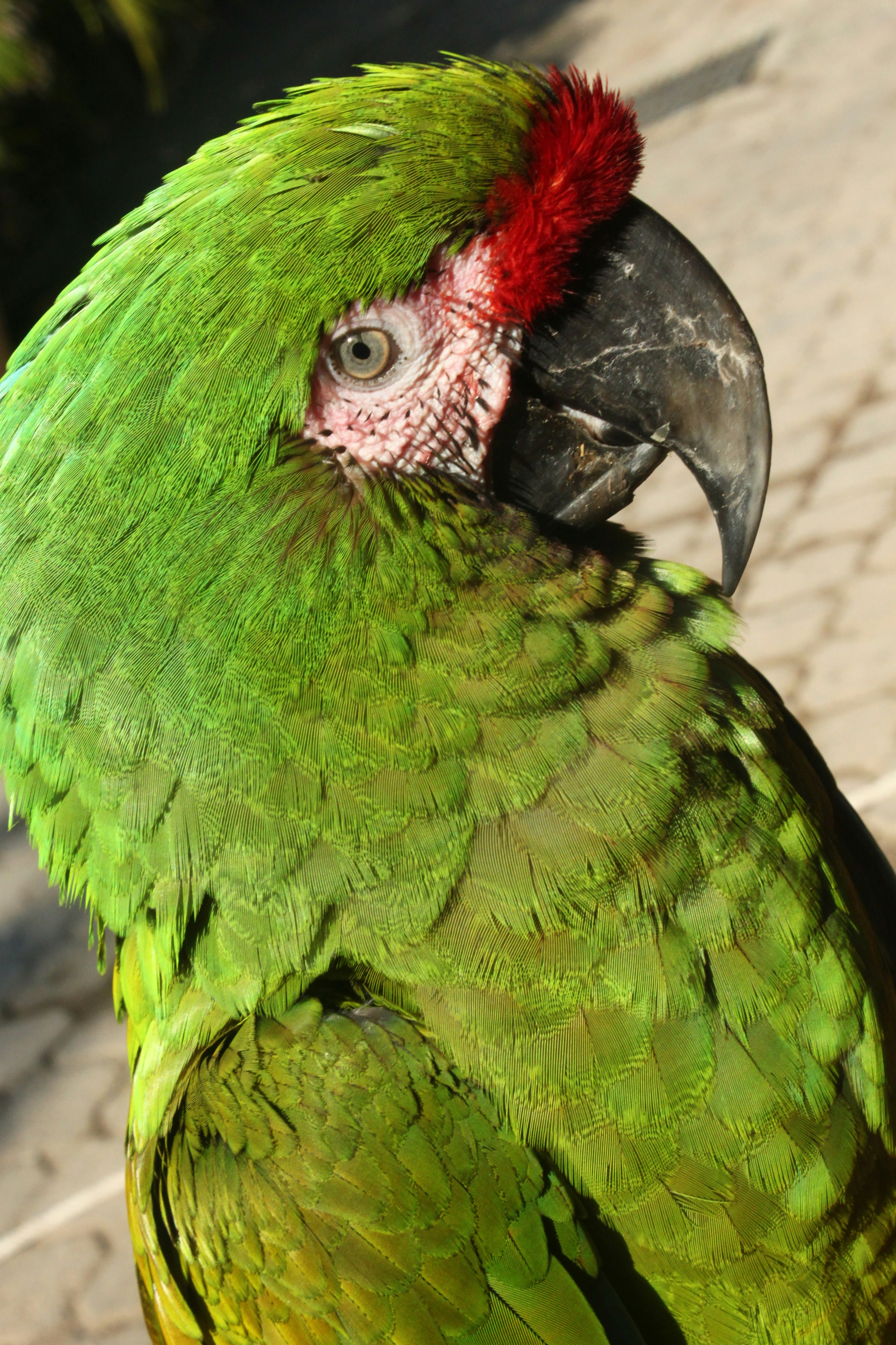 Photo created by Sherman Feller from Fanwood New Jersey, 07023 USA. Love you Dad.