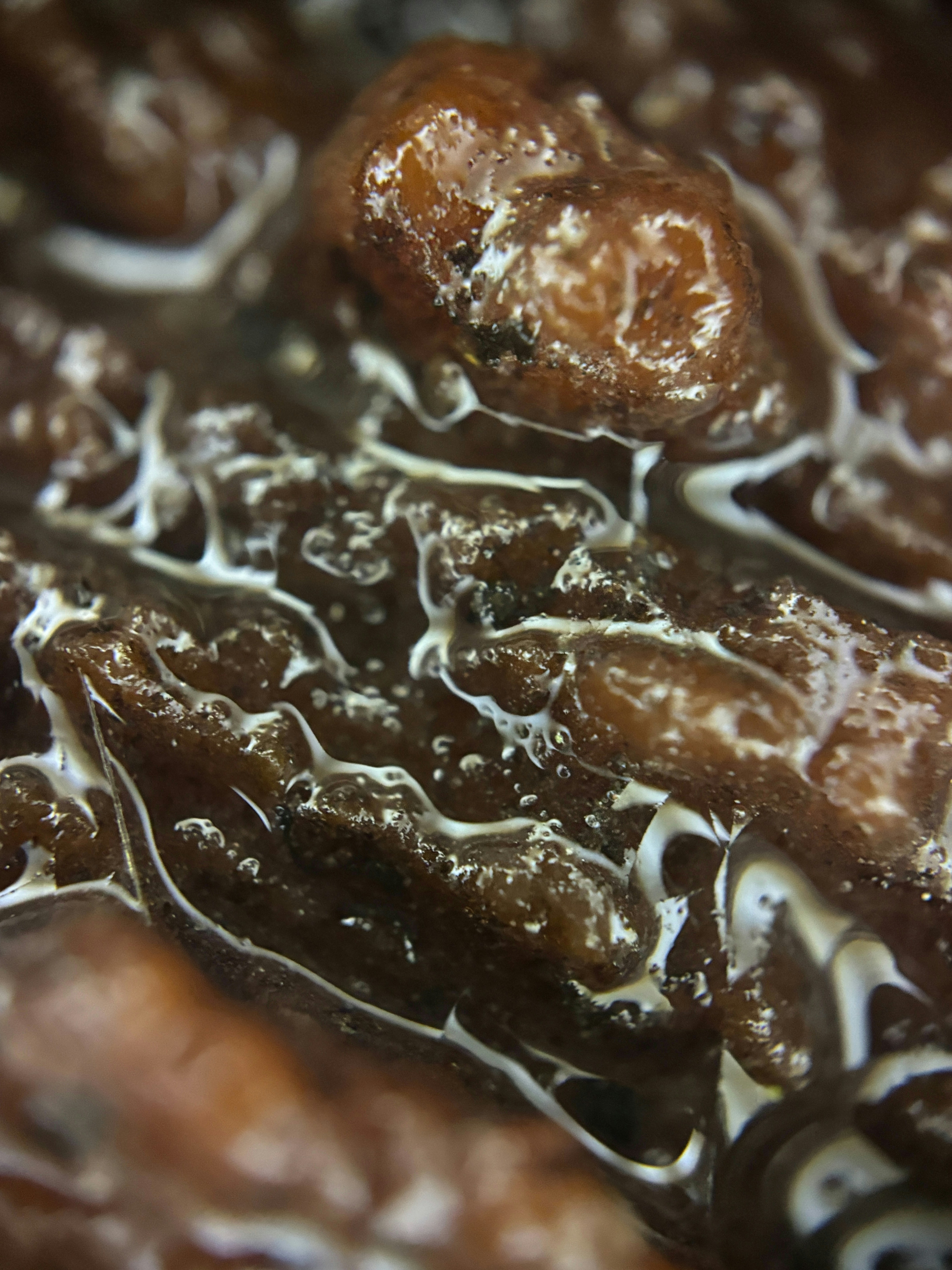 Wild walnut moist texture, macro photography
