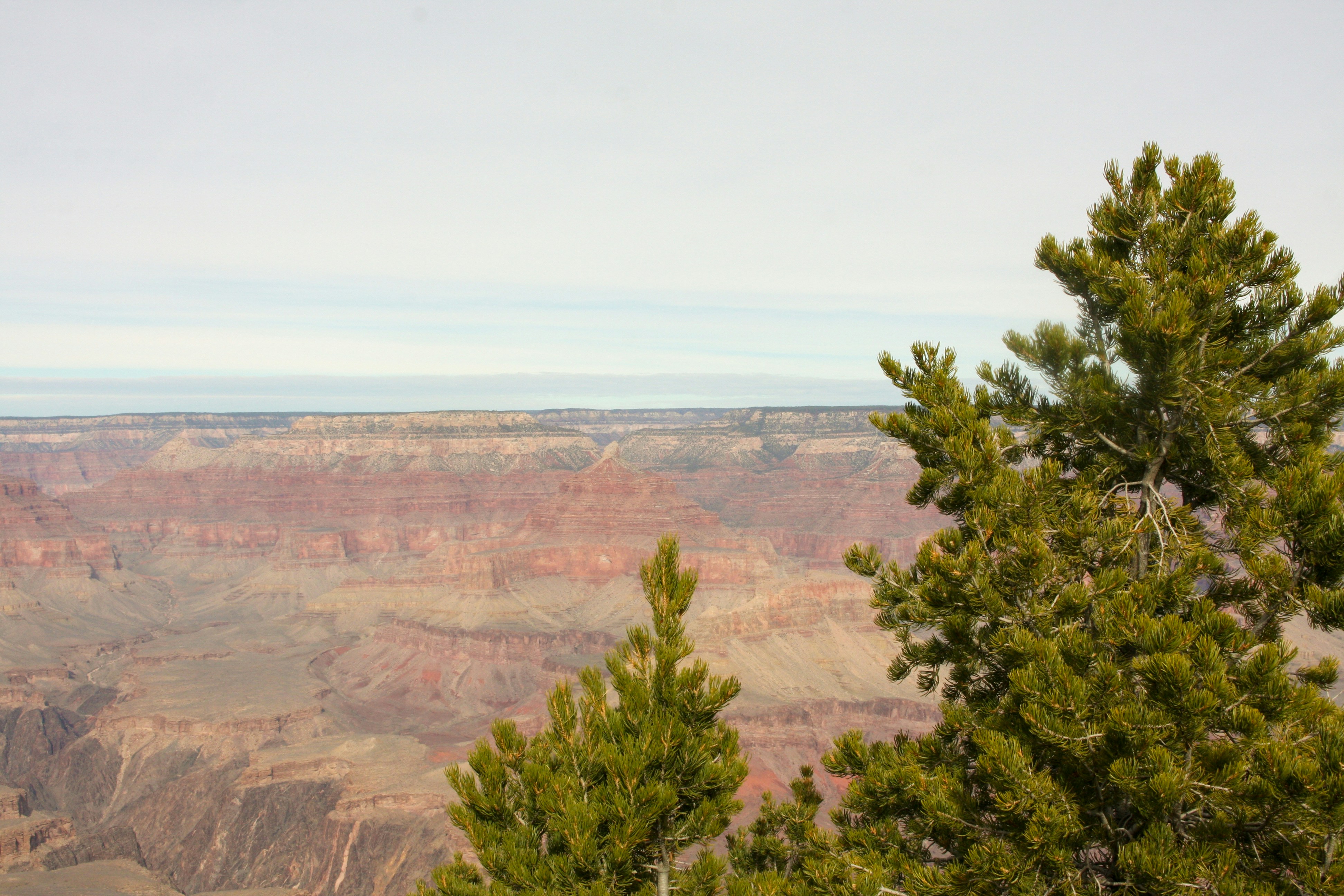 Emerald Pines at the Grand Edge