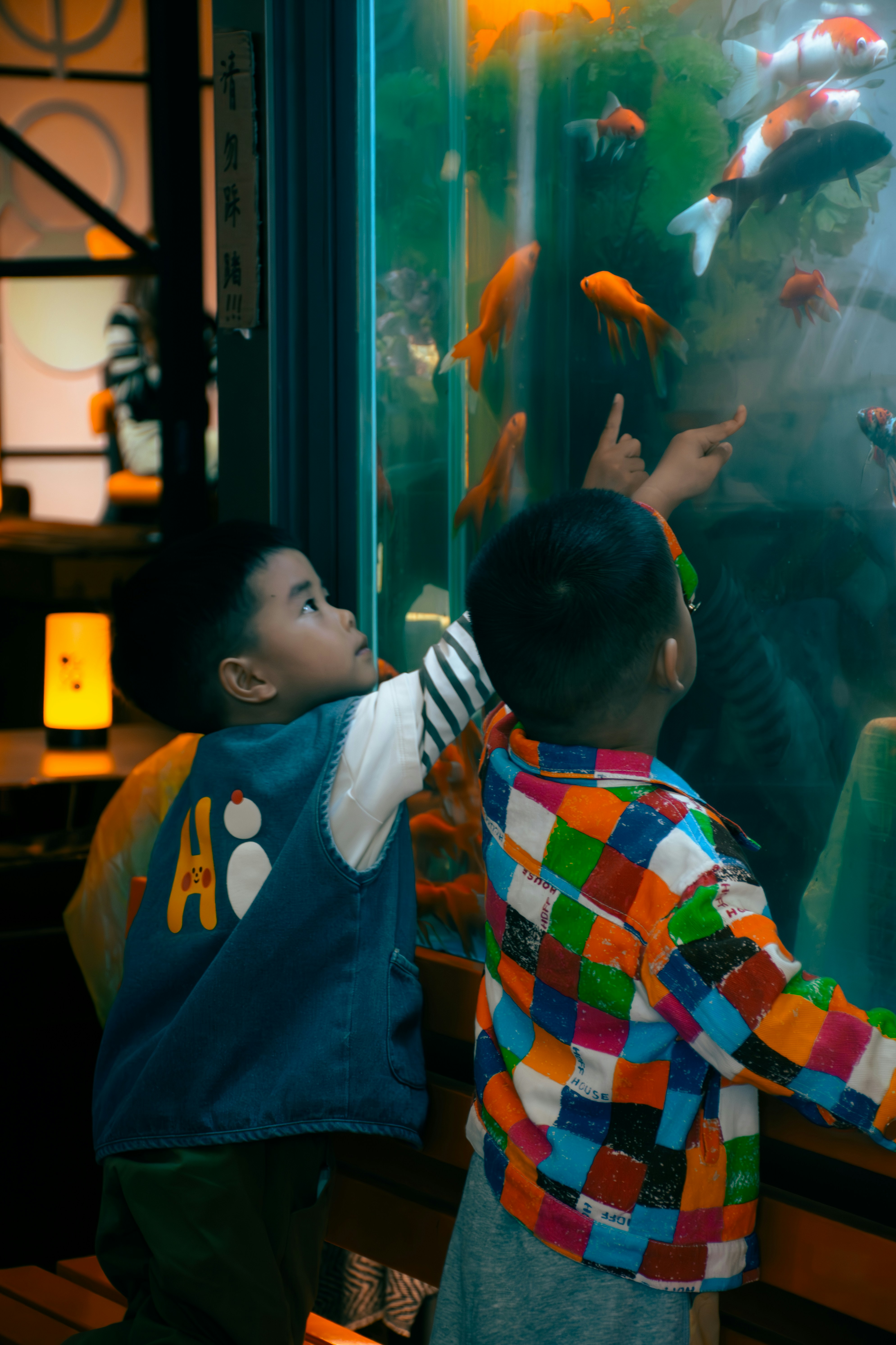 Two Curious Boys at the Koi Tank
