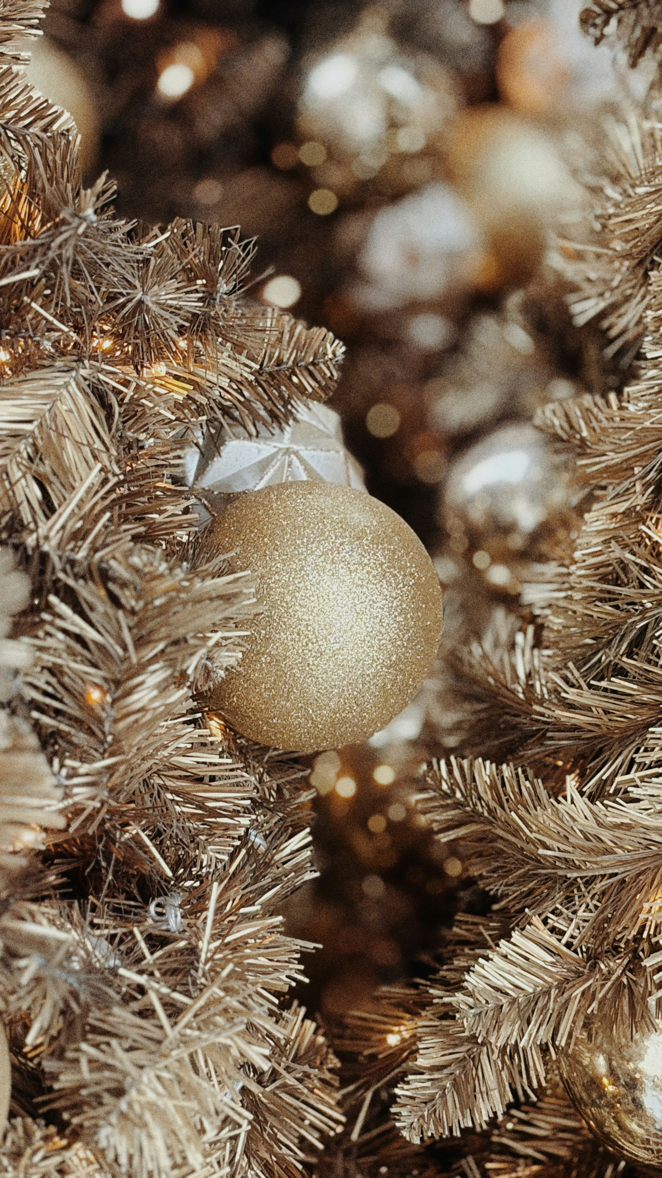 Photo by Sami Chau with Apple iPhone 17