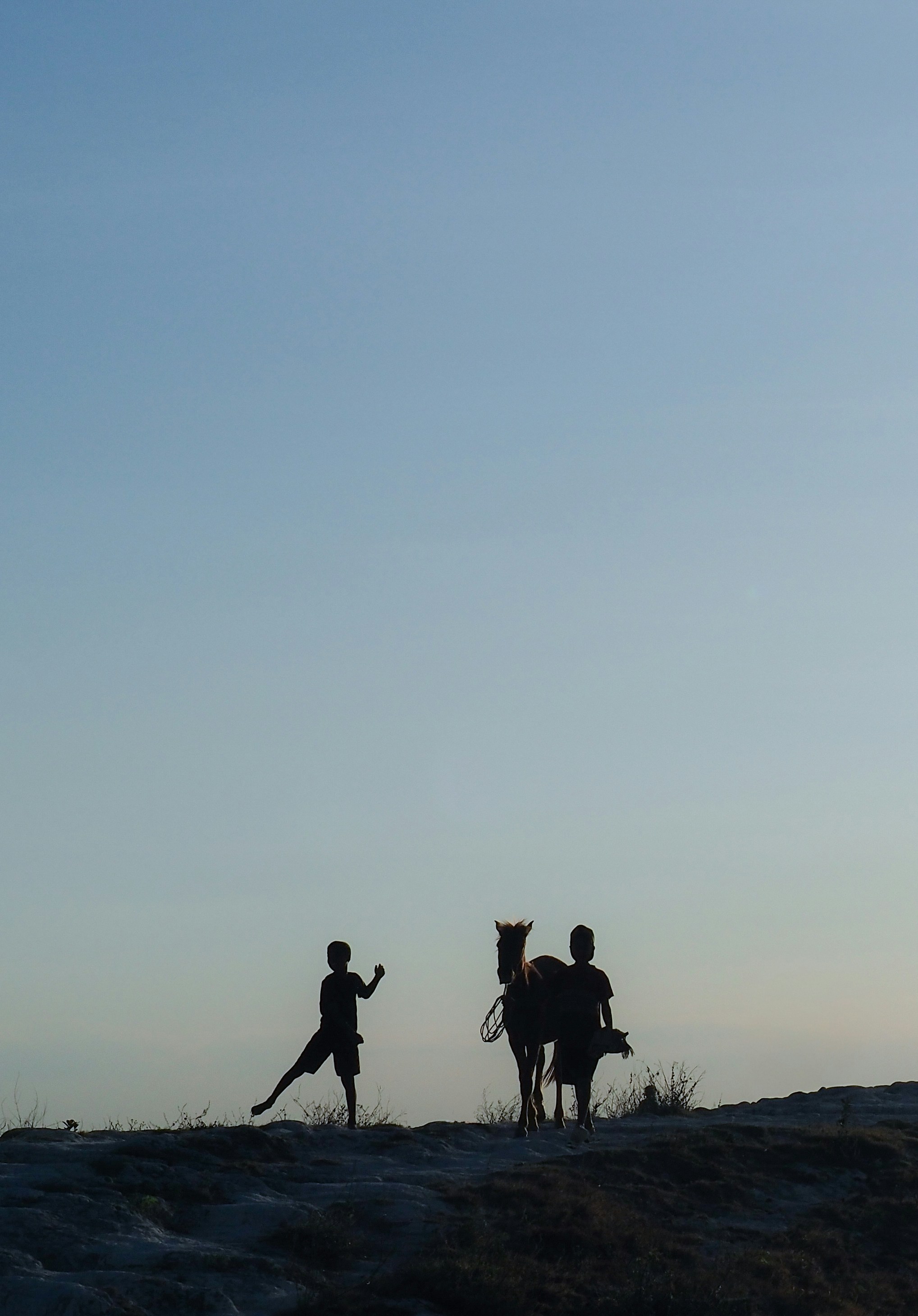 Silhouette at Dusk: A Runner, a Horse, and the Horizon