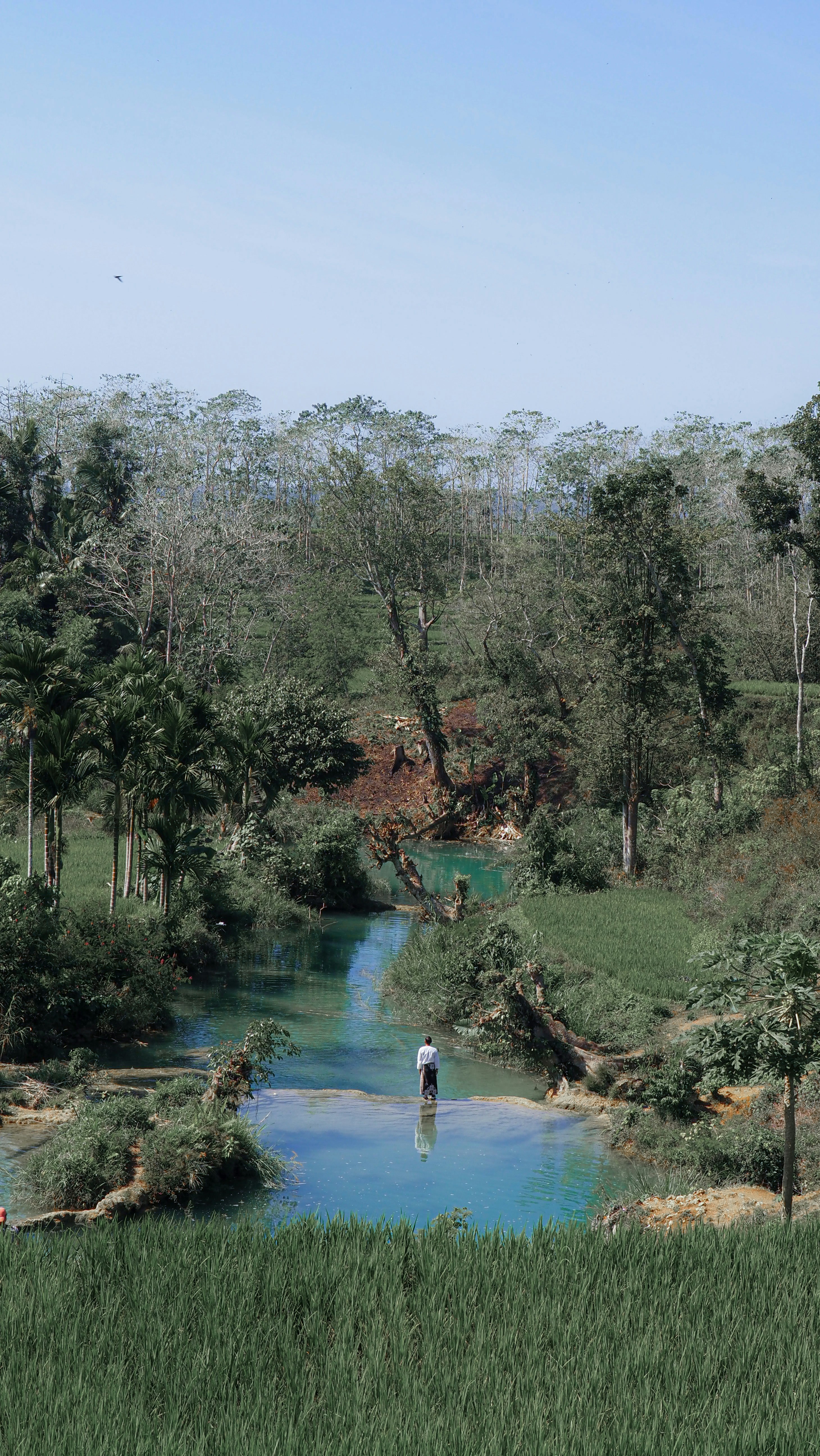 Verdant Whisper: A Lone Fisherman in Serpentine Blue