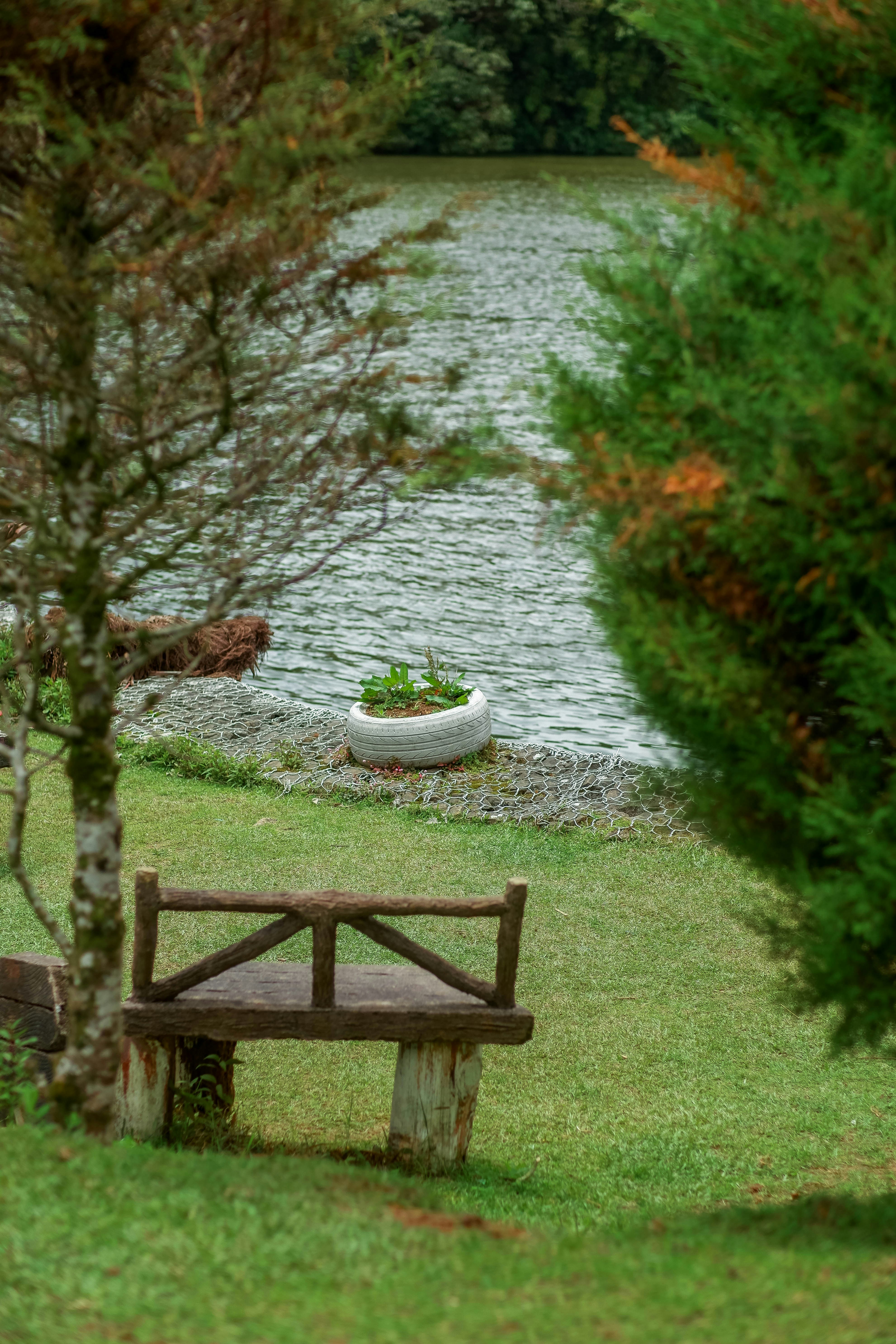 Quiet riverside bench framed by trees and a recycled tire planter