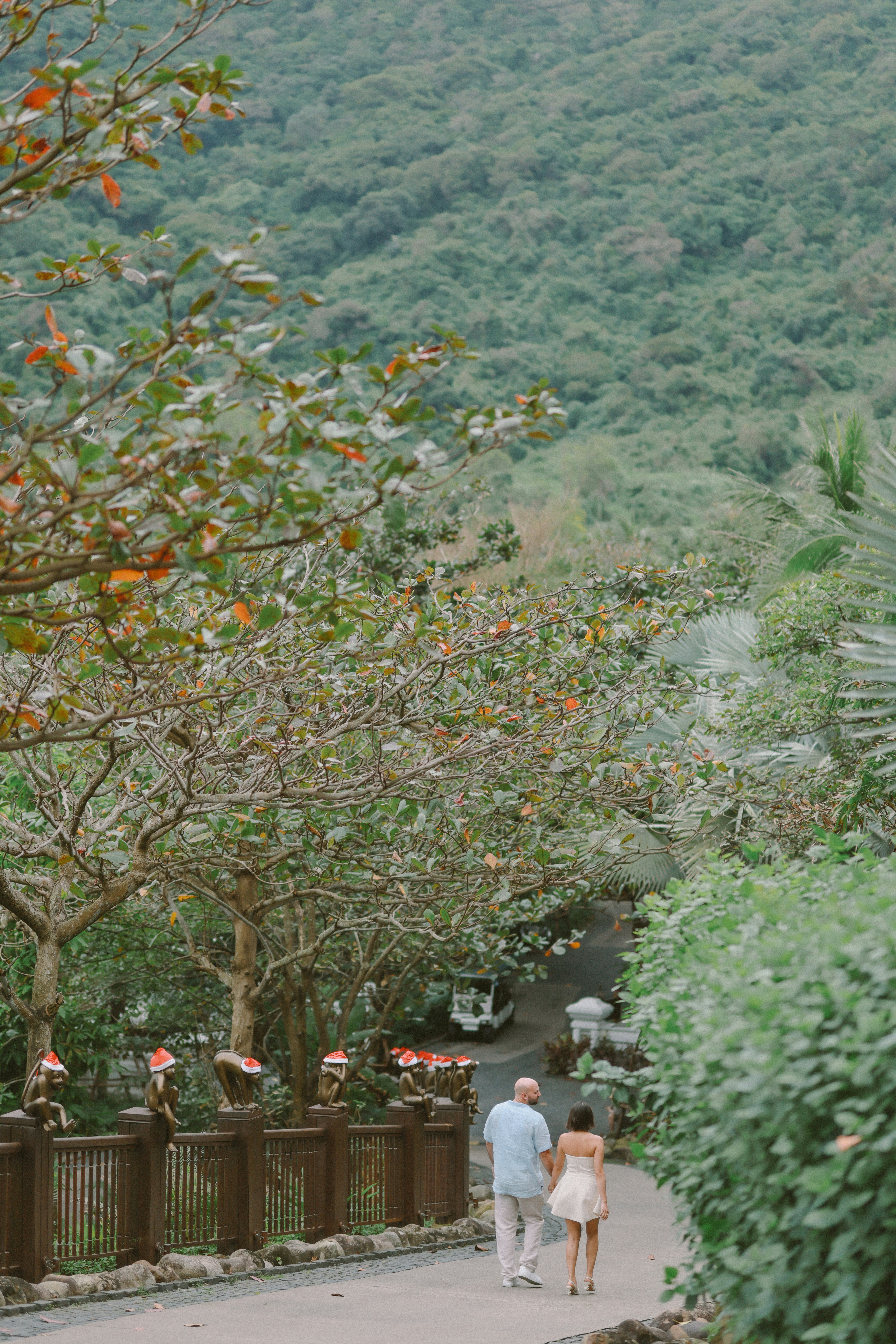 Stroll Through a Quiet Terrace Beneath Autumn-Flecked Branches