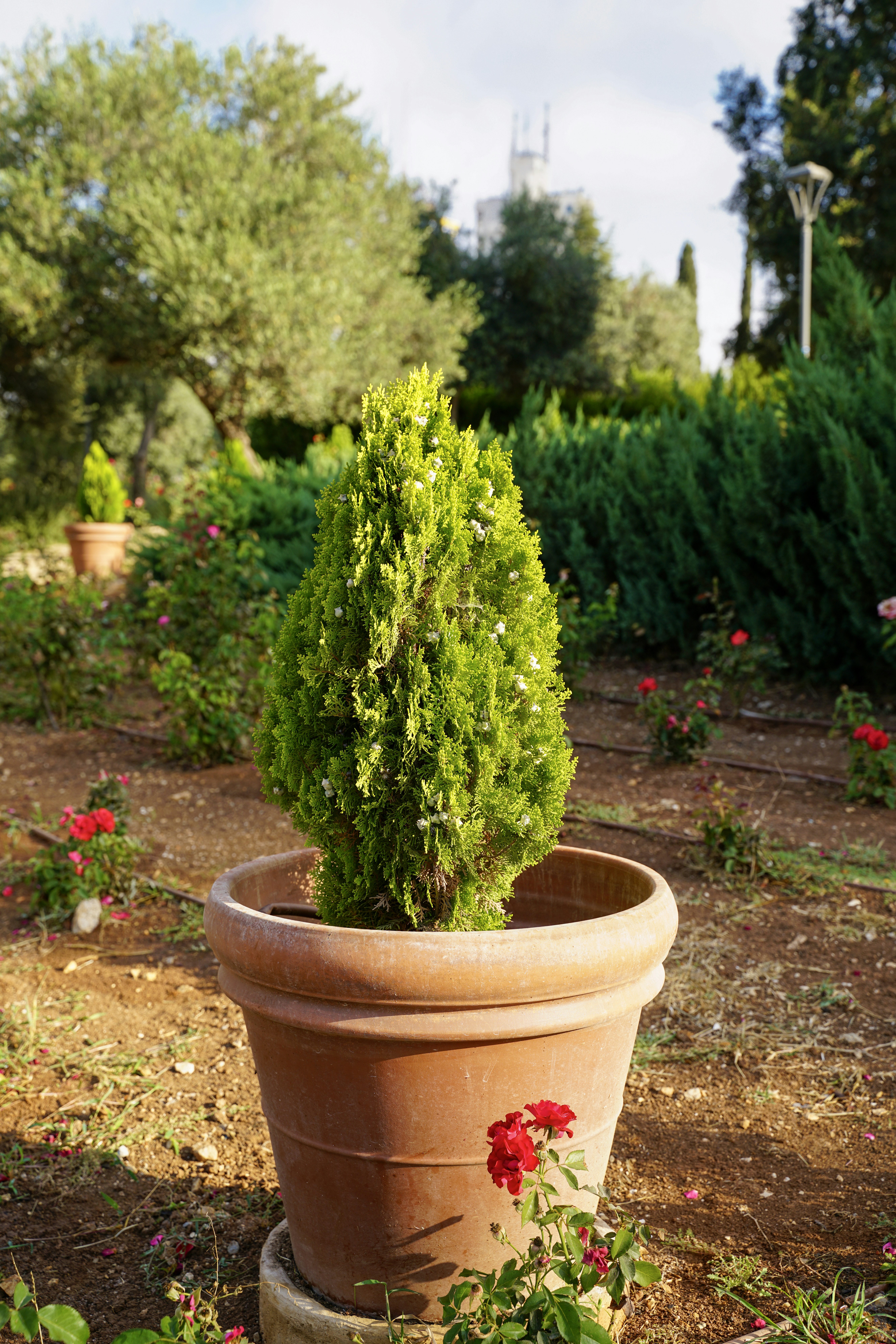 Photo by George 🦅 with Sony Alpha 7R II