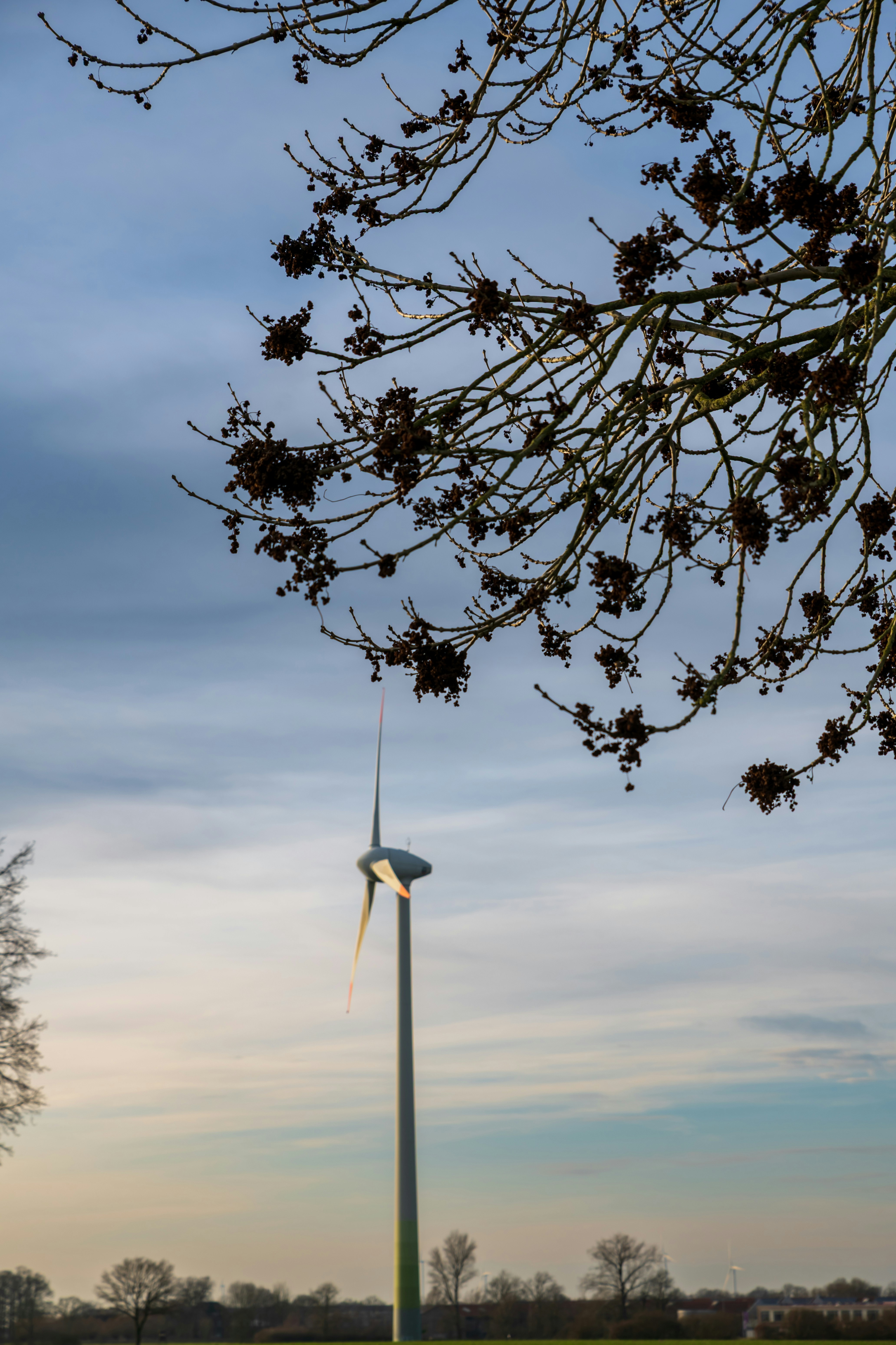 Skyward Wind Turbine: A Tree-Outlined Horizon with a Towering Turbine