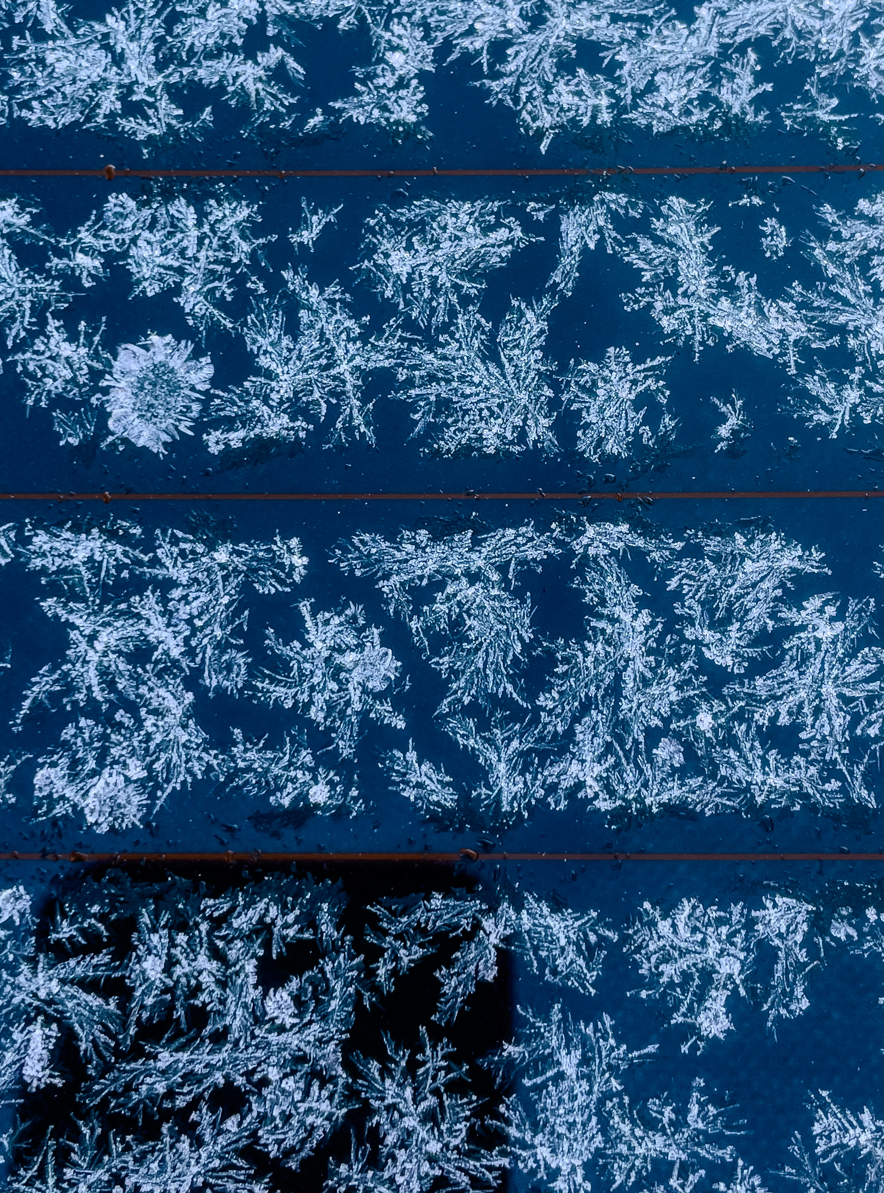 Photo by Bernd 📷 Dittrich with Apple iPhone 12 Pro