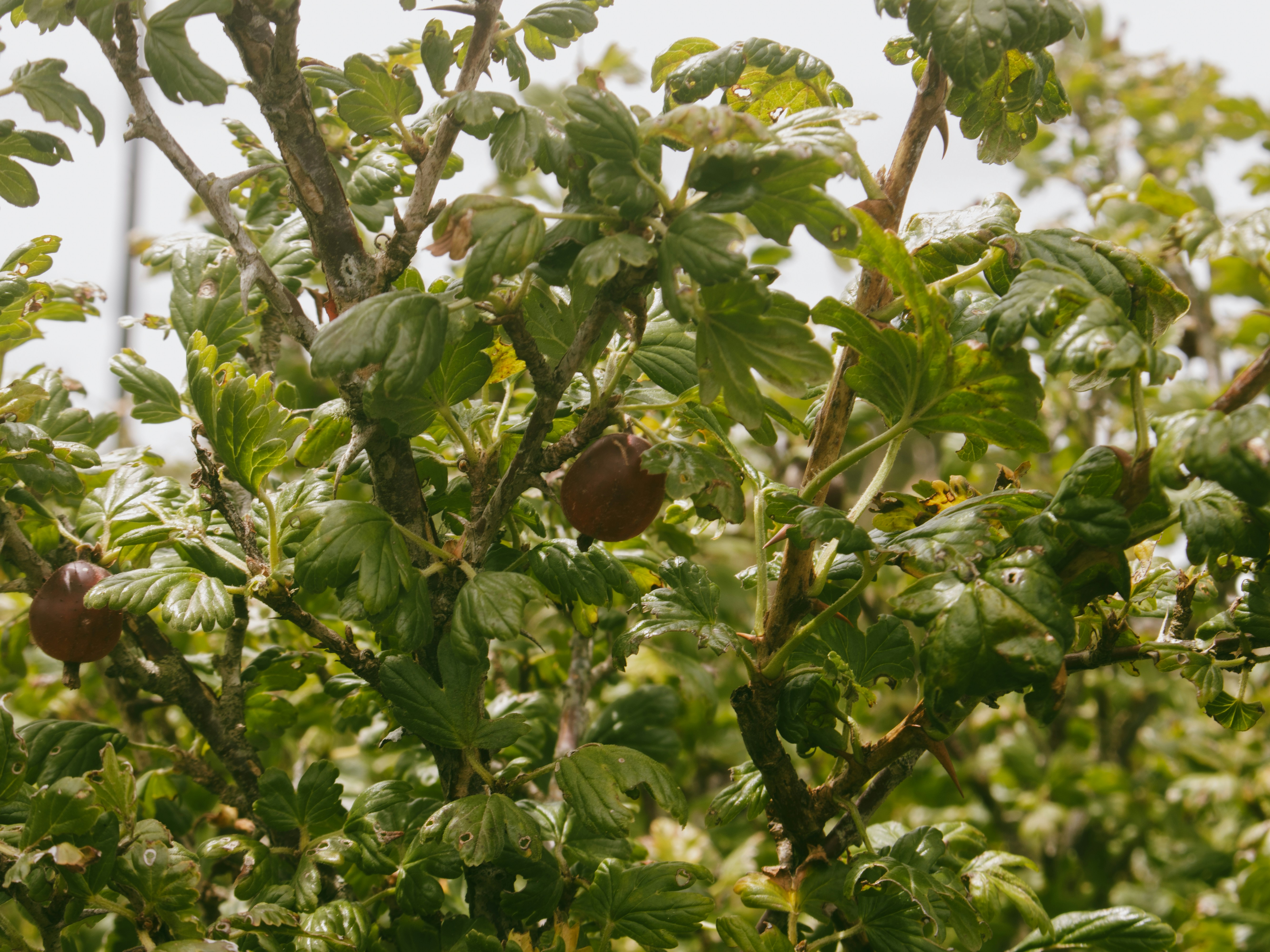 Photo by Noel Oviedo with Canon EOS 2000D