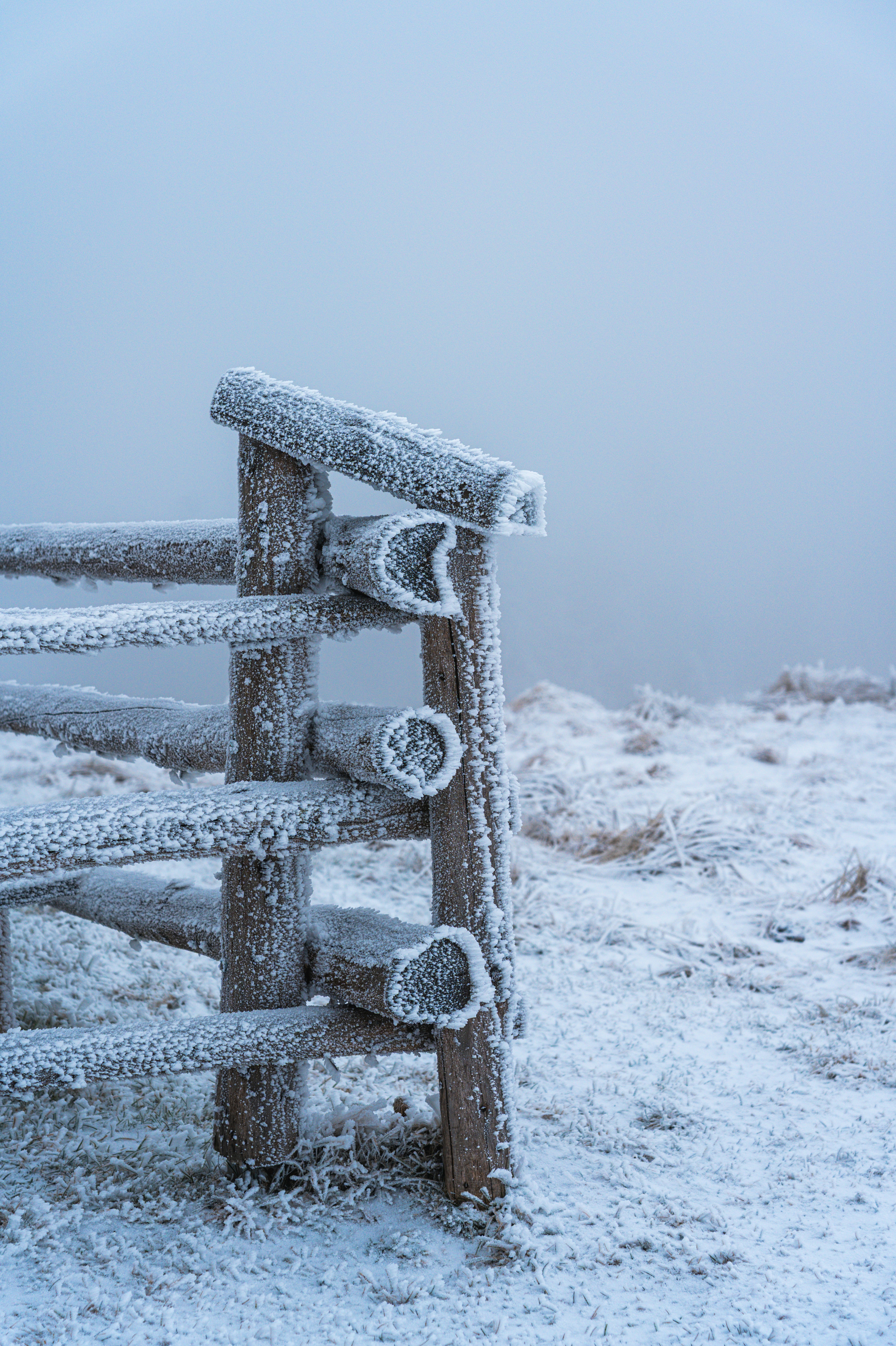 Frost-Whitened Fence in a Quiet Winter Field