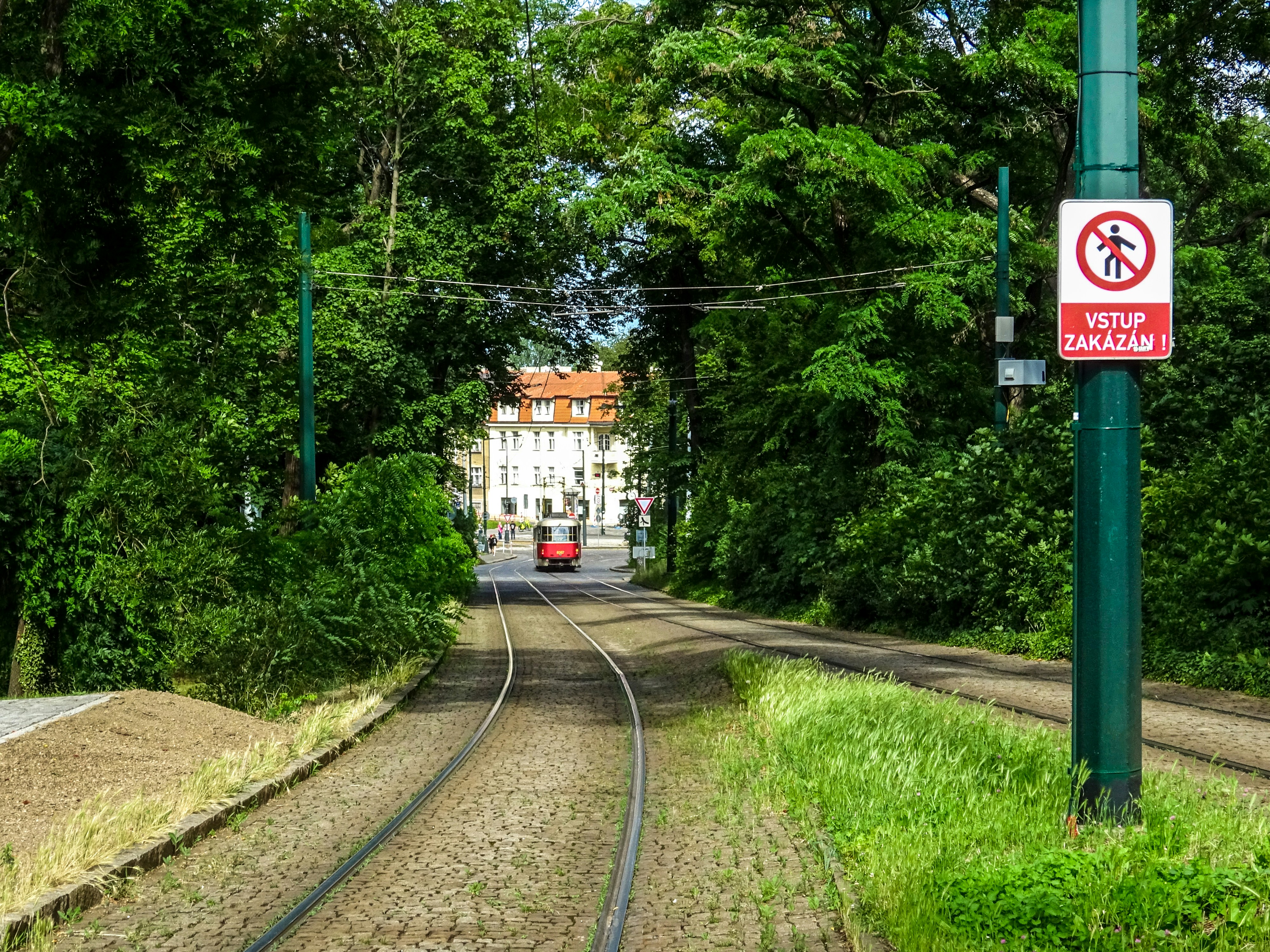 Tram Tracks through a Green Corridor toward a Quiet Town