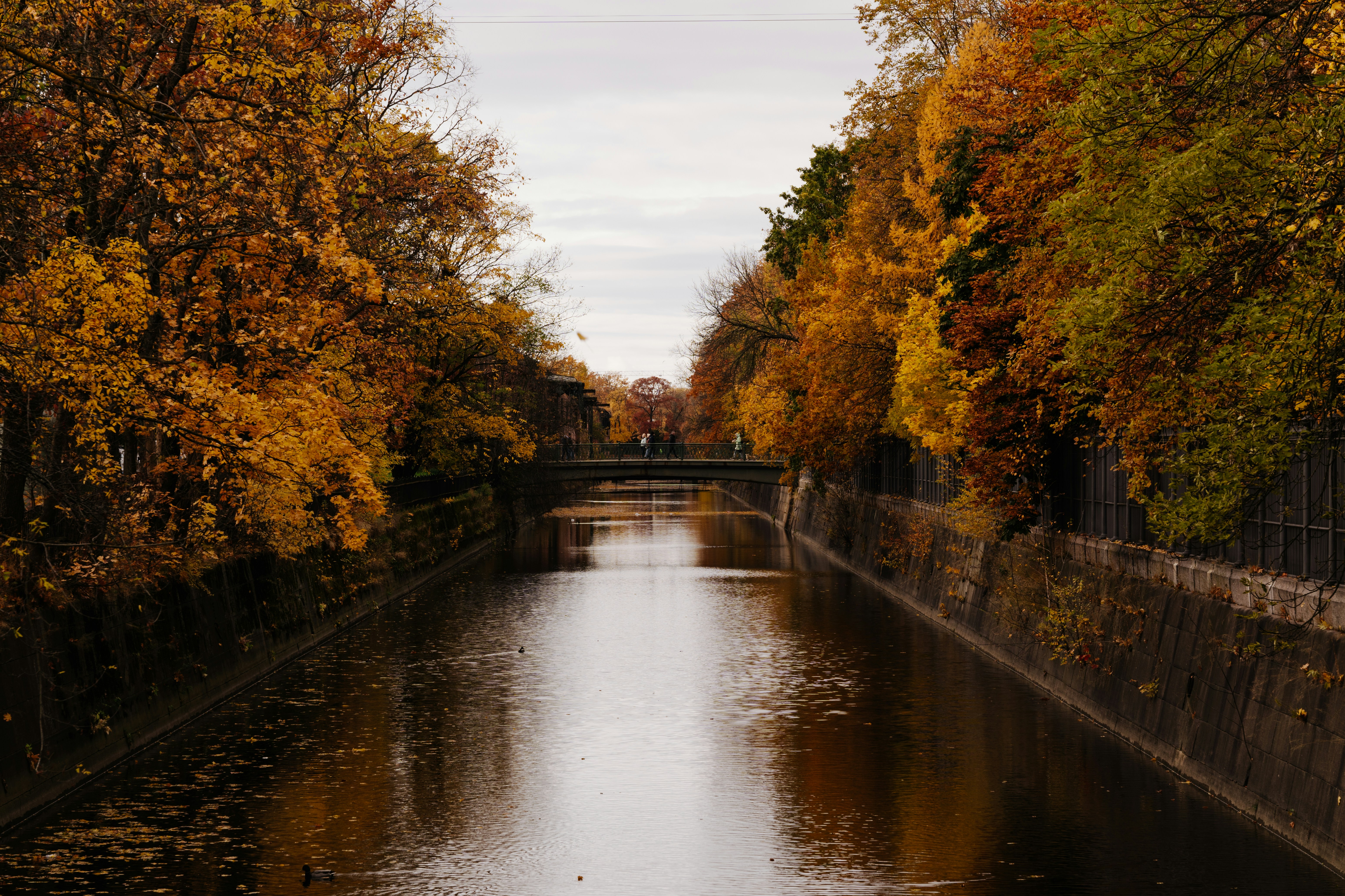Autumn Canal Corridor Framed by Fading Gold