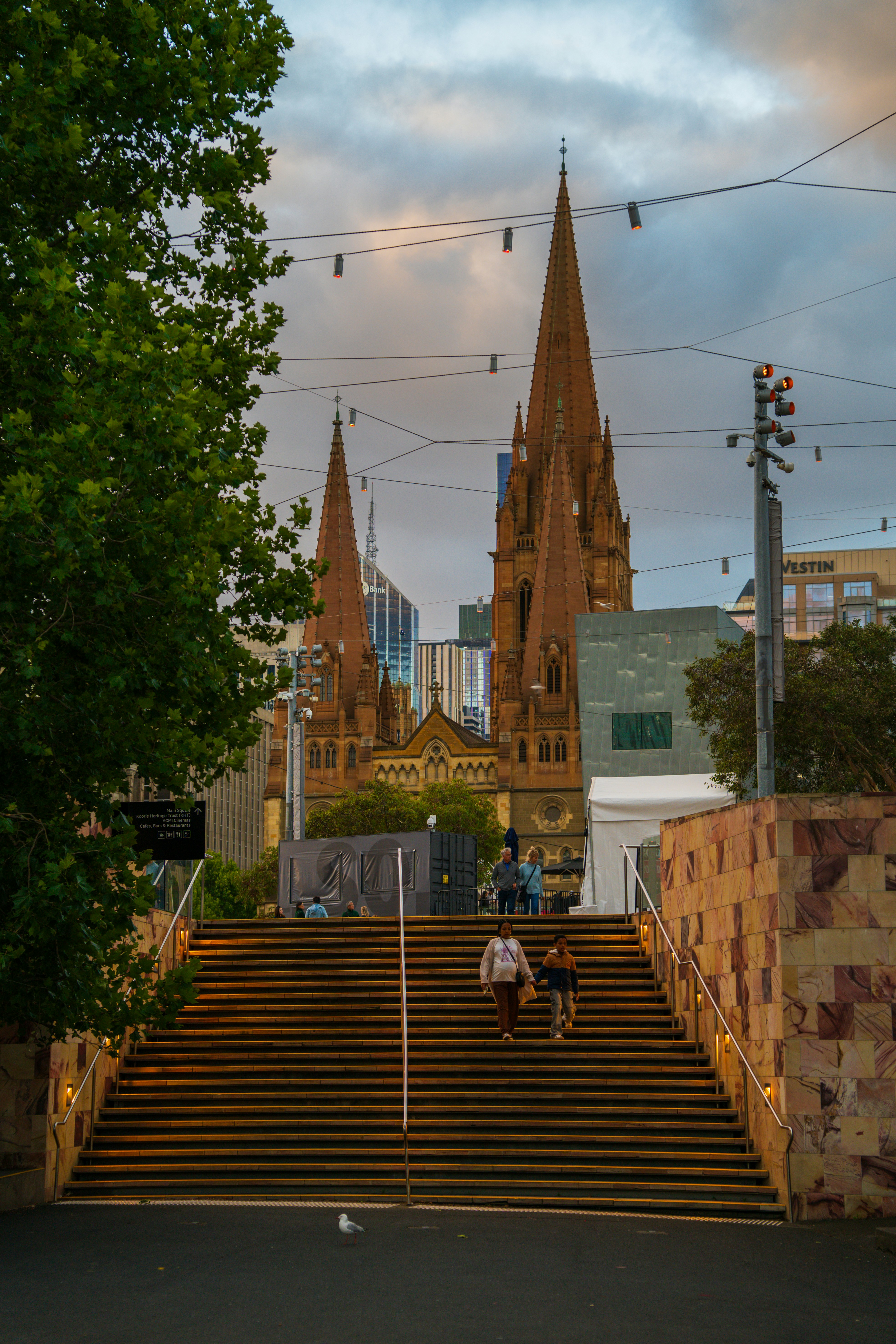 Stairway to Gothic Towers beneath a Sky of Strings and City Light