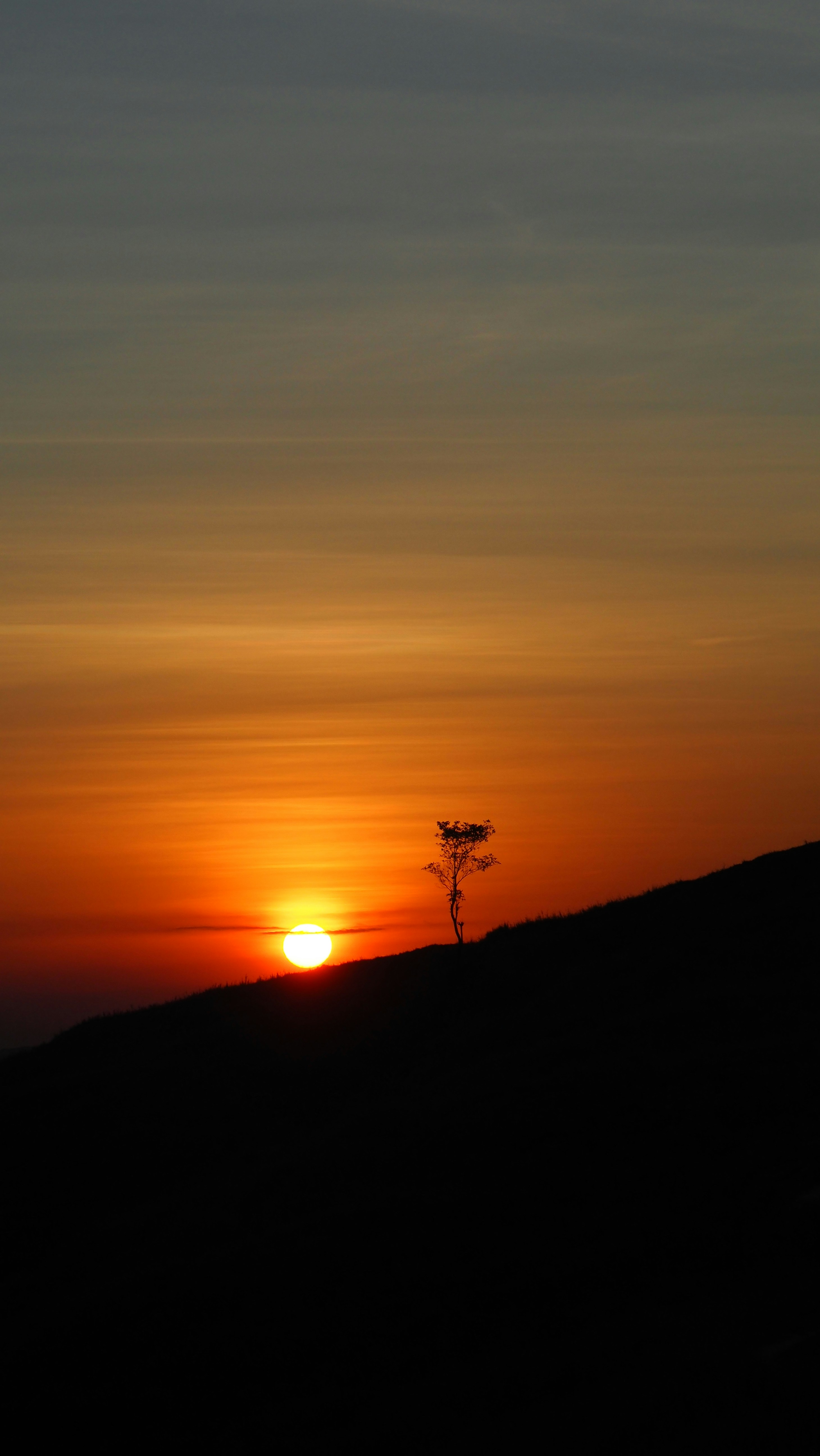 Lonely Tree at Sunset on a Sloping Horizon