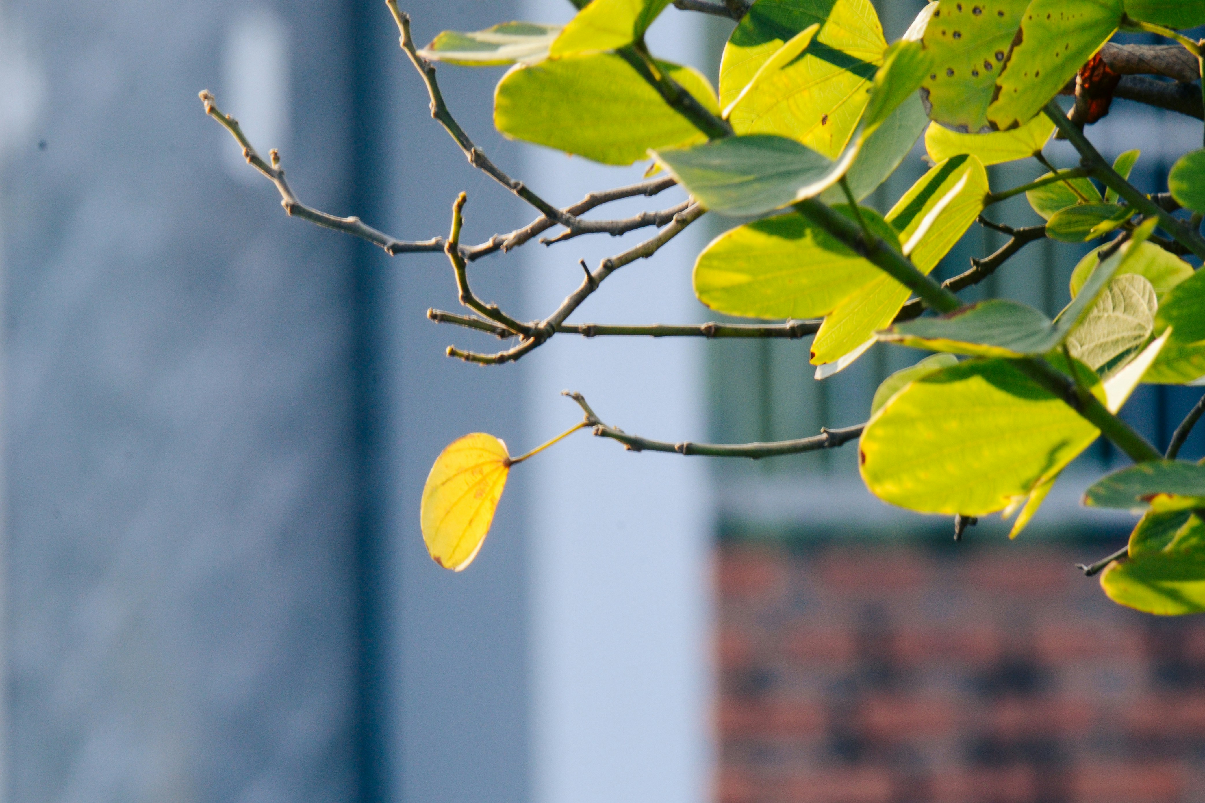 Photo by Vicky with Nikon D7000