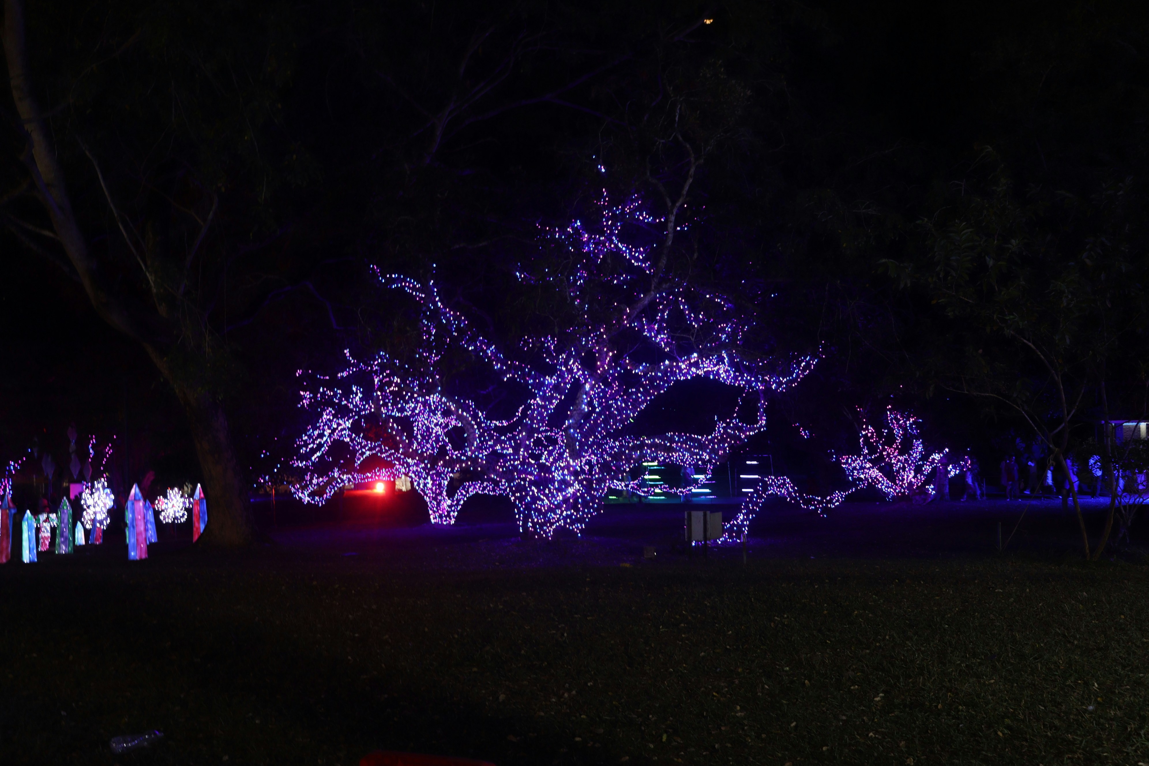 Twilight Orchard of Neon Blossoms