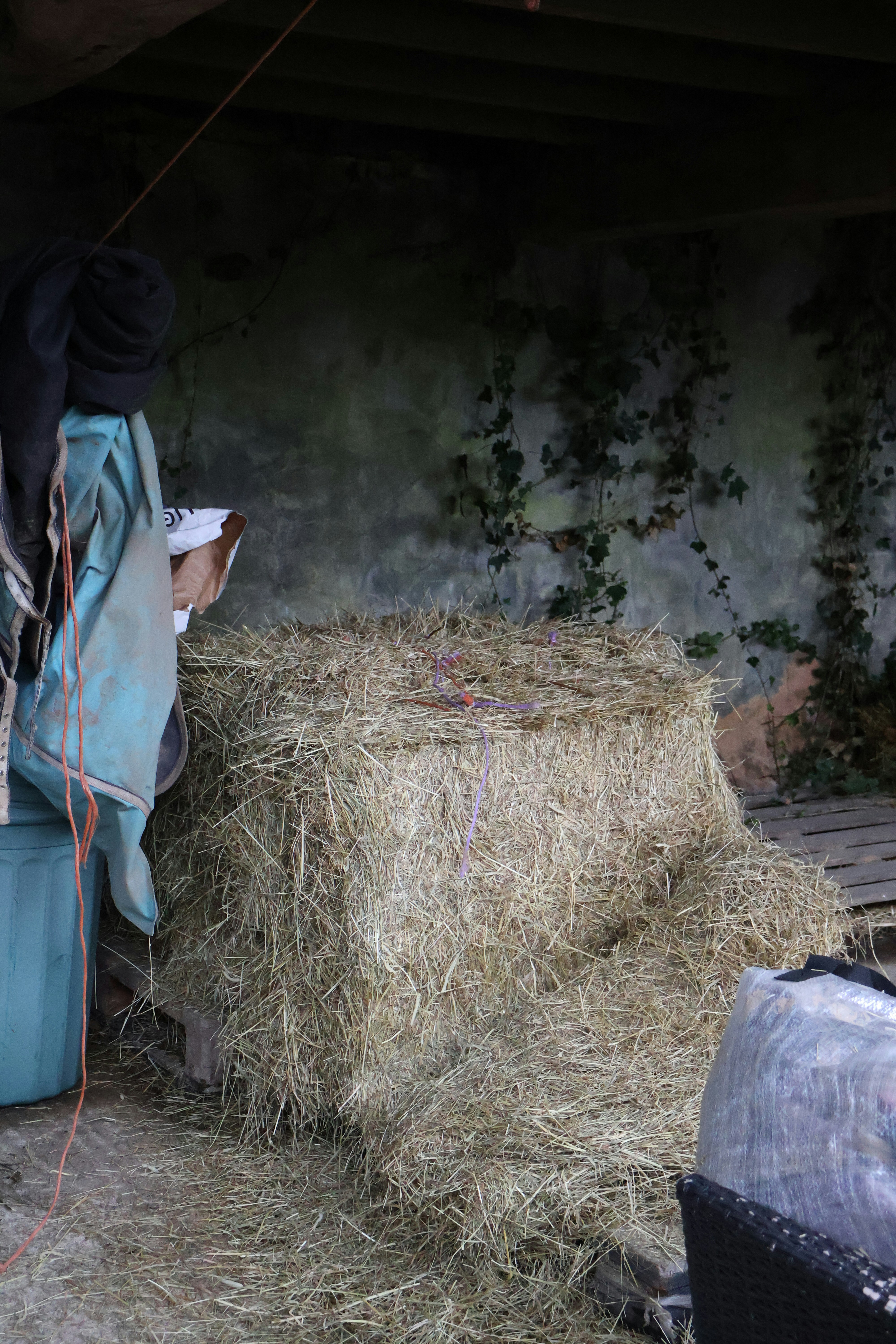 Stacked hay bales under a shaded shelter with climbing ivy on a weathered wall; a blue jacket and camping gear sit to the left, suggesting a storage or prep area.