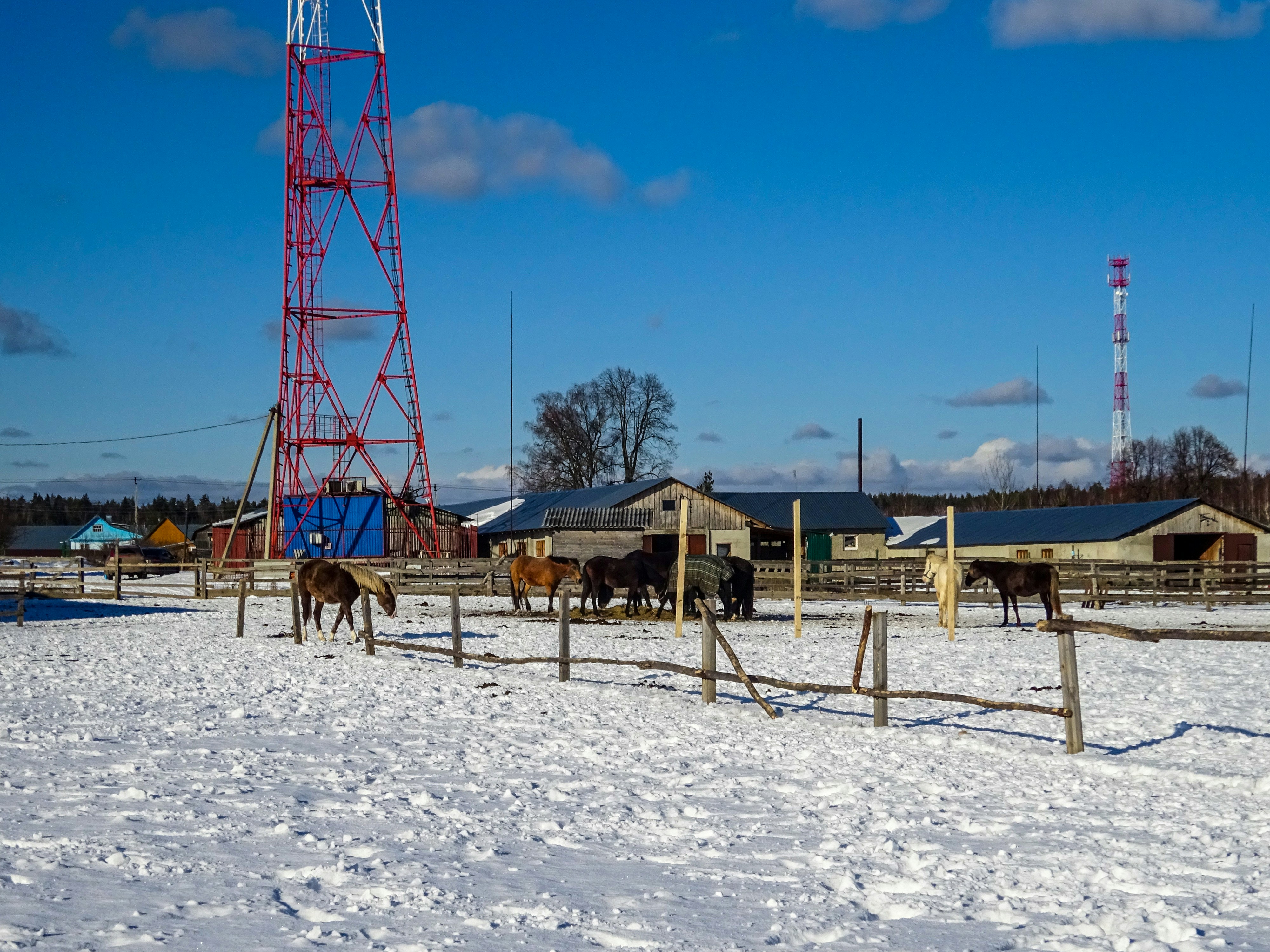 Snowbound Farmyard Under a Clear Winter Sky