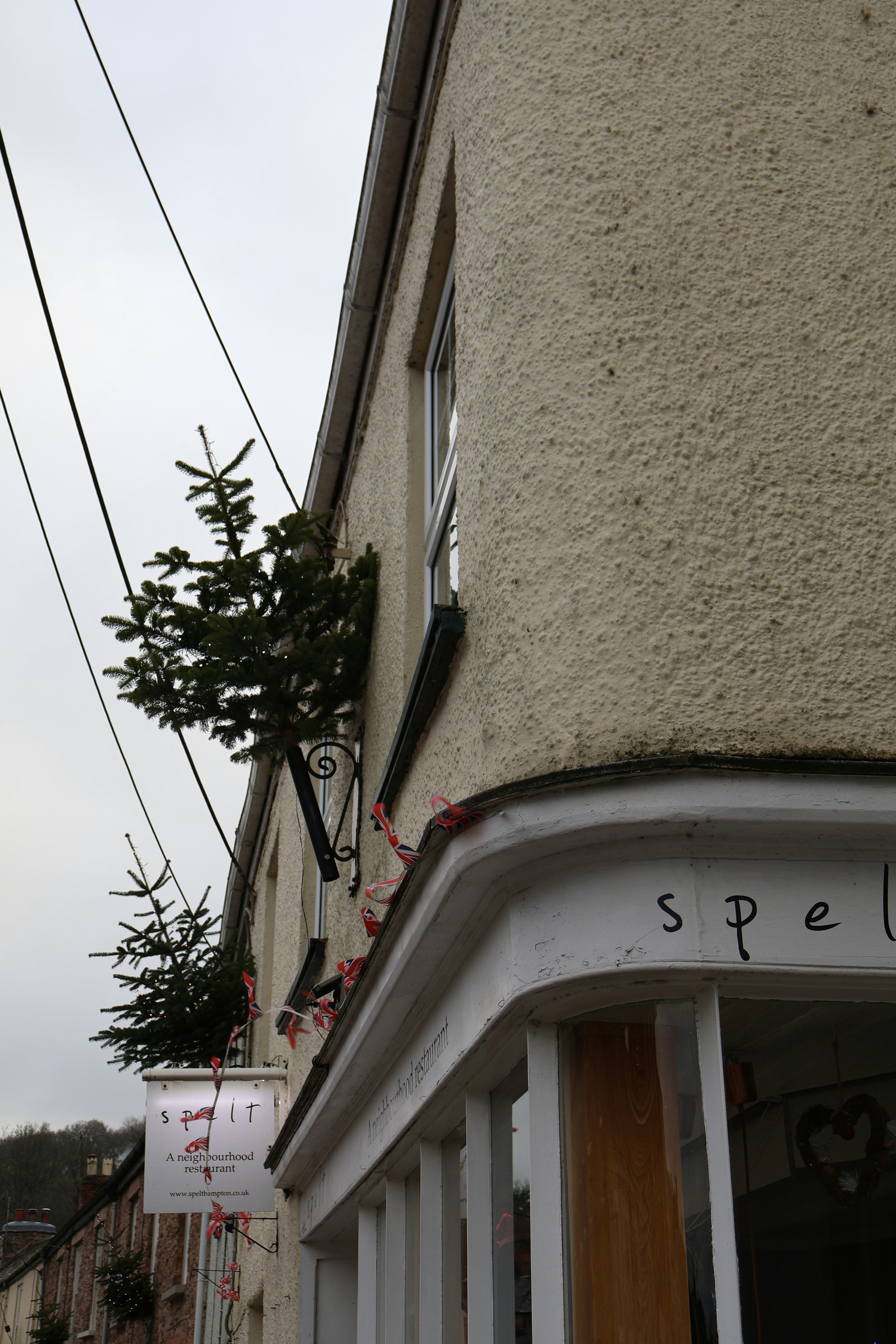 Storefront Charm: A Corner Café Sign Adorned with Christmas Ties