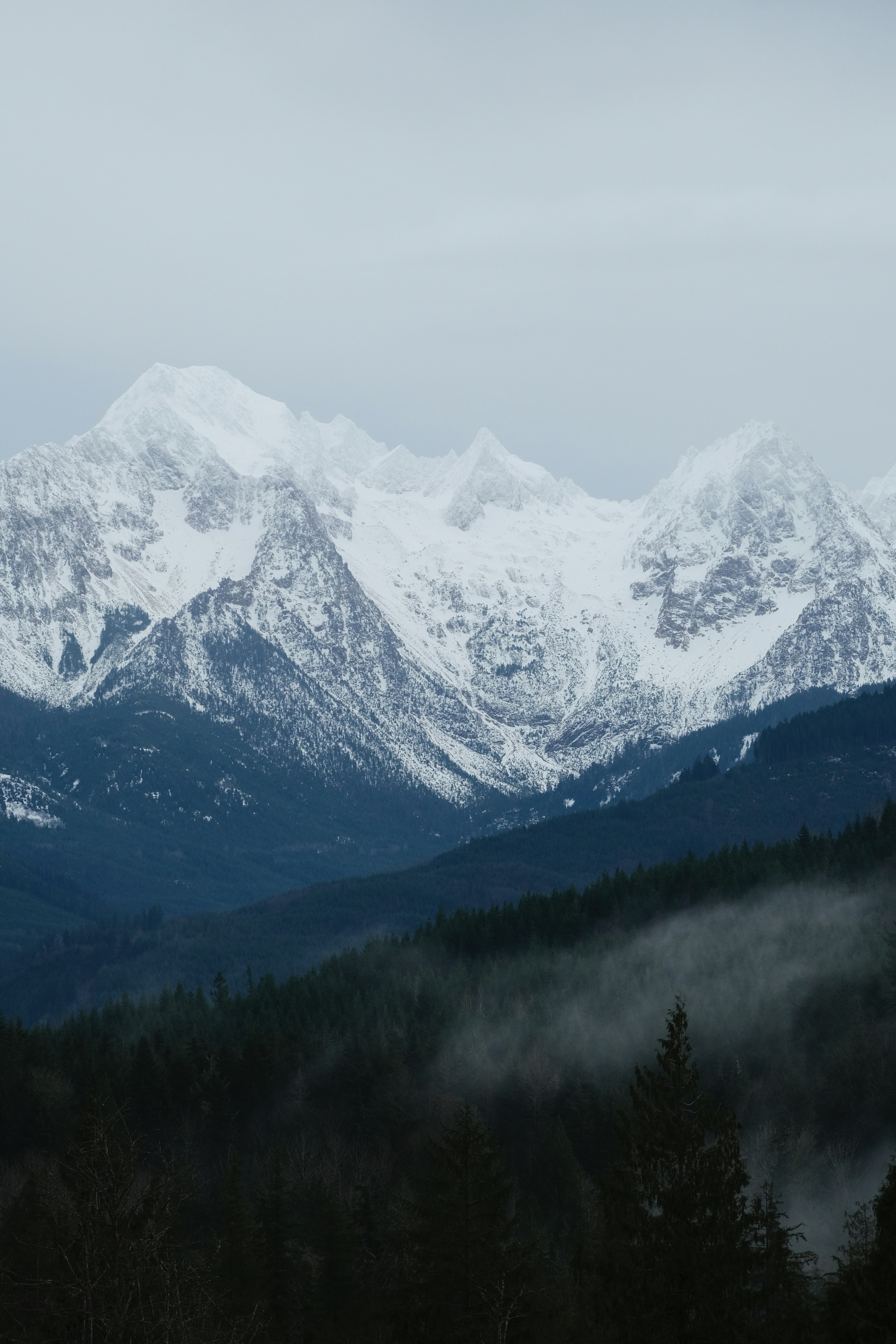 Snowbound Crest: A Quiet Silence Over the Pines