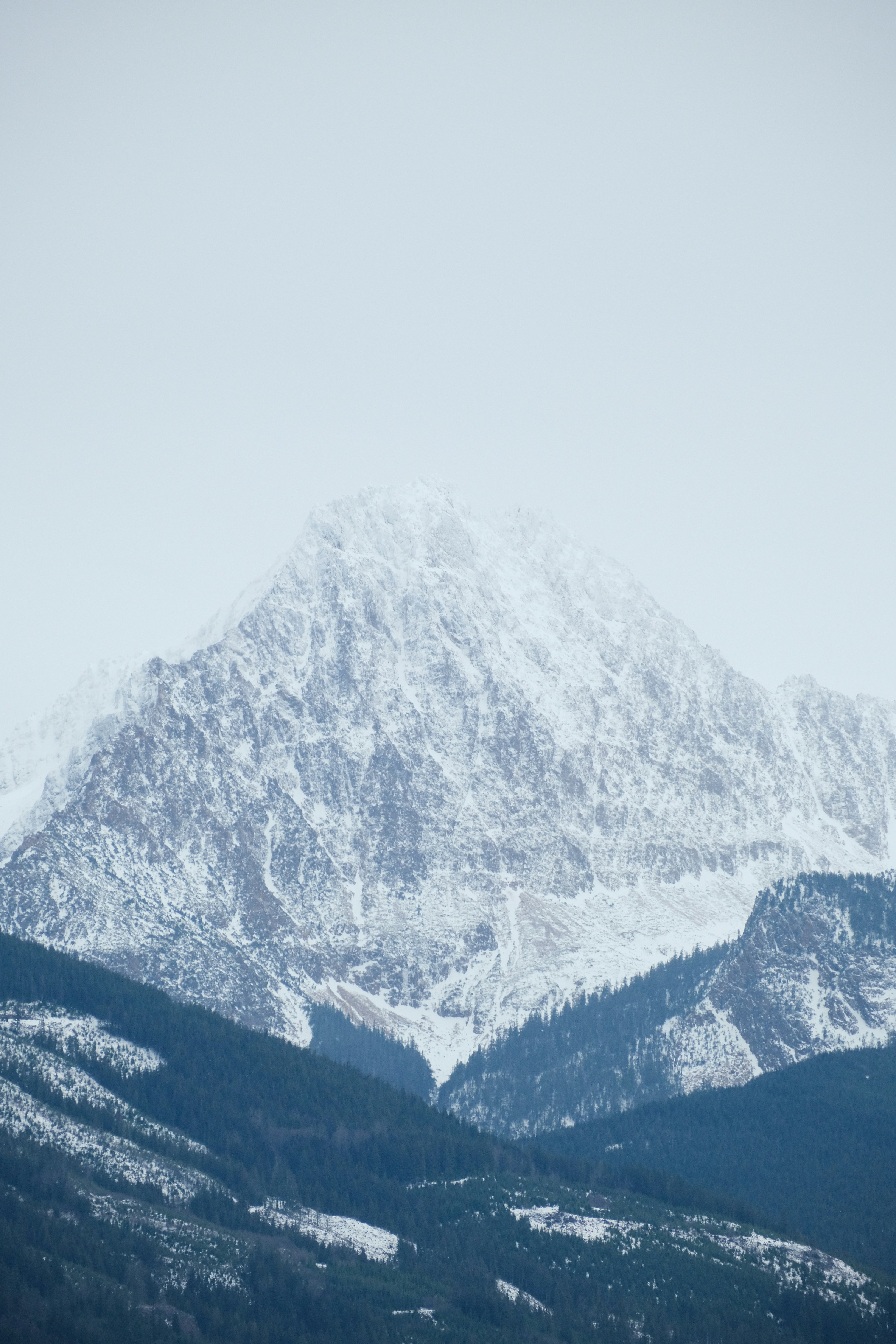 Azure Summit: Snow-Capped Peak Rising Above Pine Cloaks