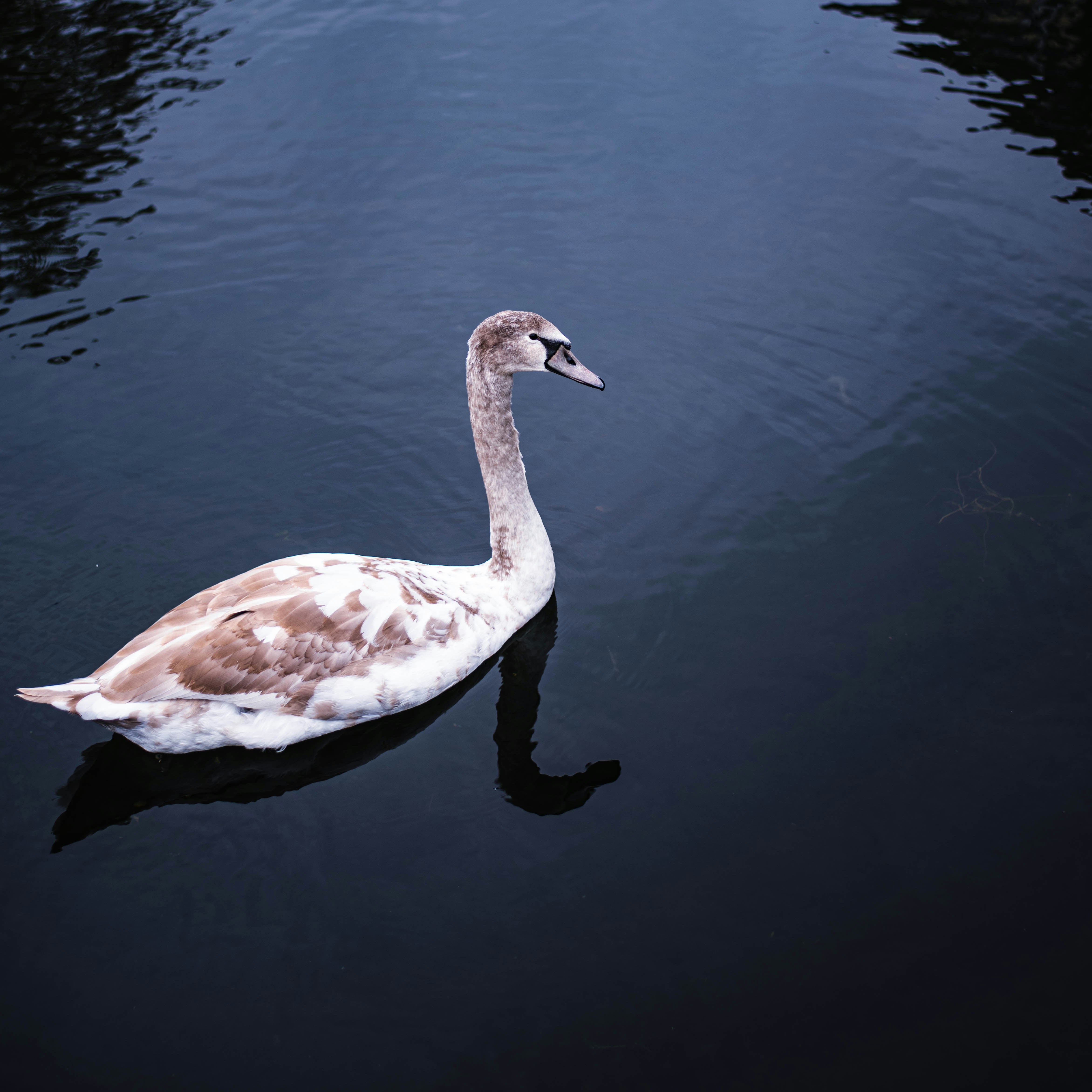 David Garrick - Bangbola (@david_garrick_bangbola) | Komunitas Foto ...