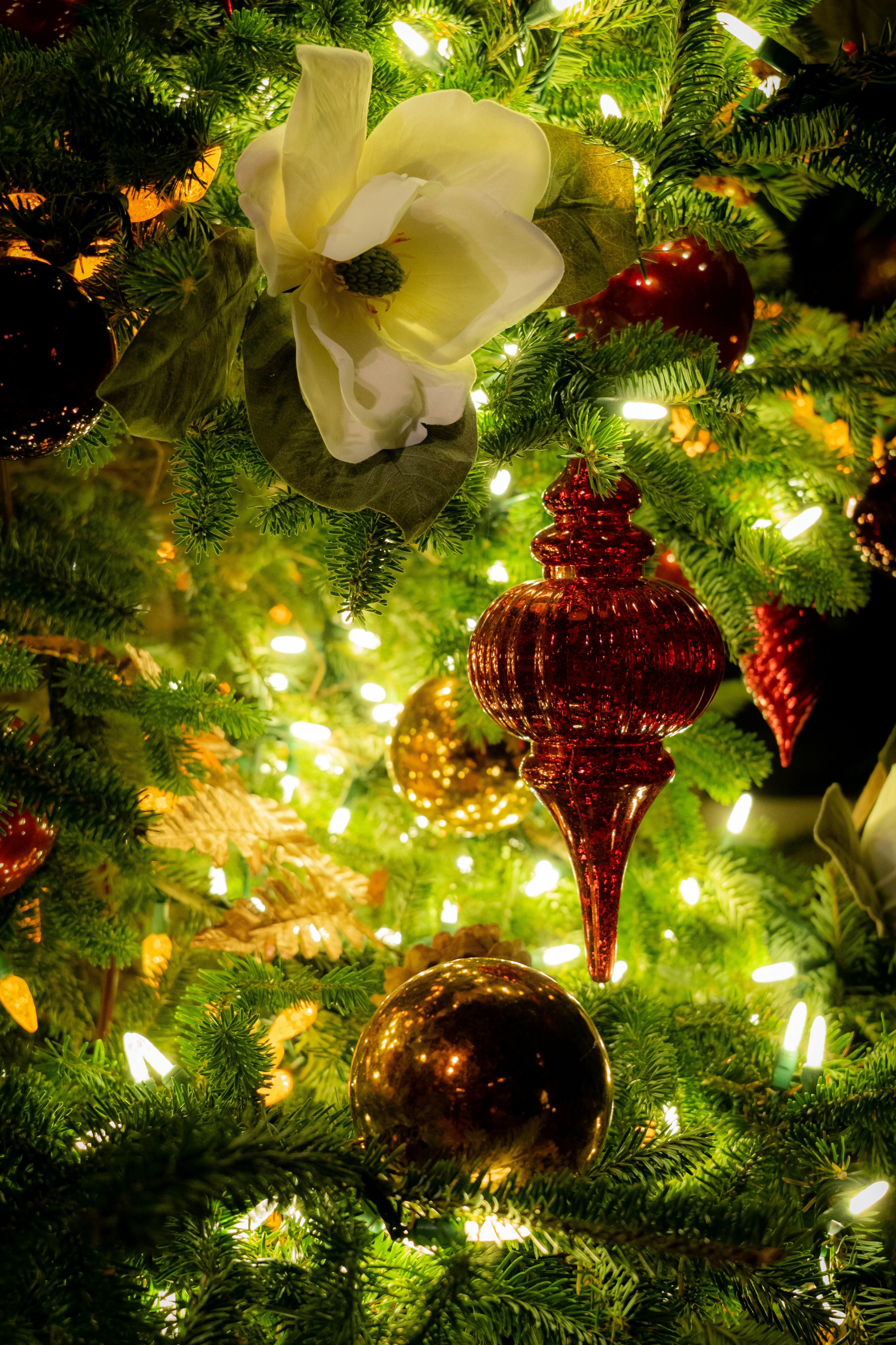 Ornamented Bloom Under Warm Christmas Lights