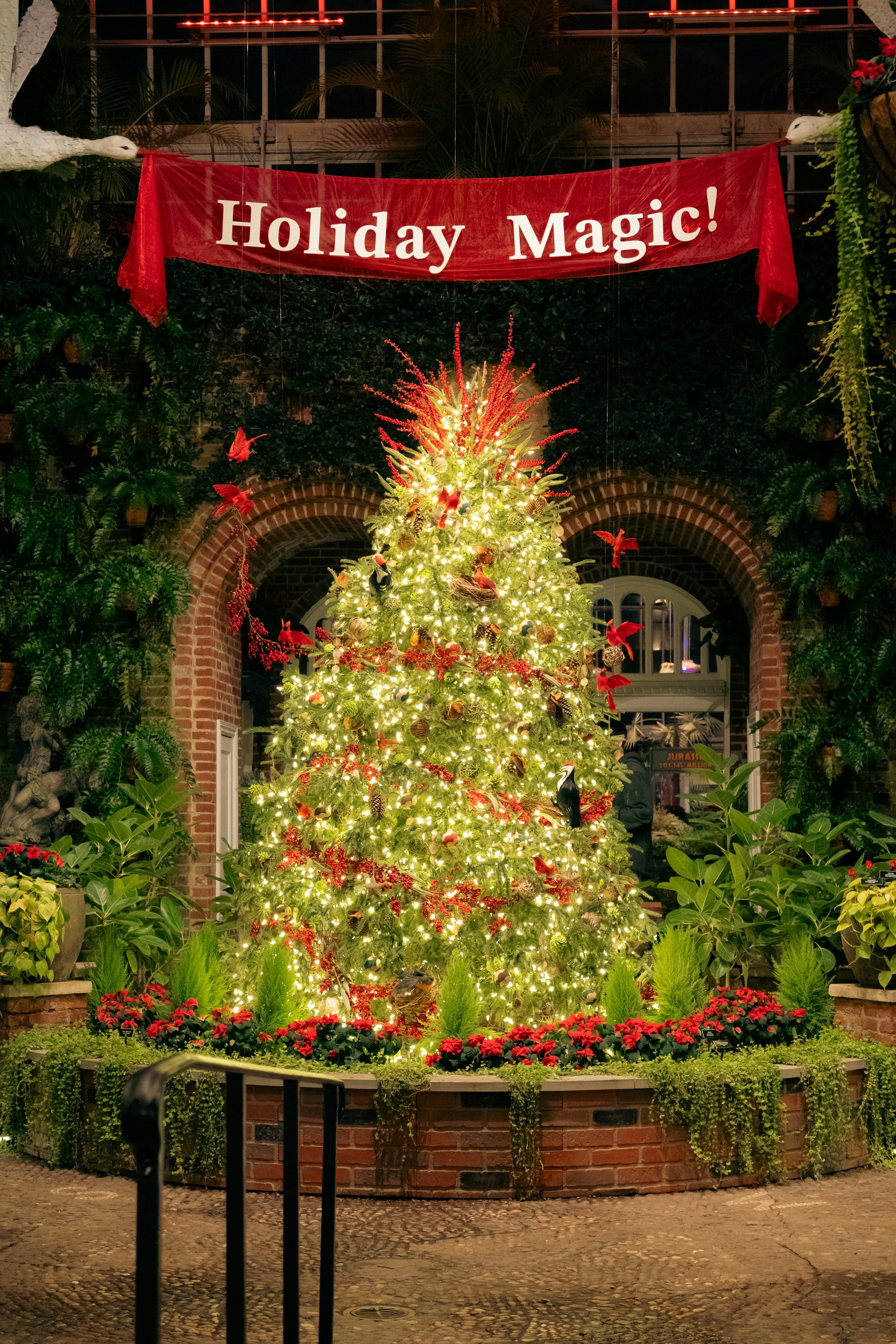 Holiday Tree in a Courtyard Garden Adorned with Lights and Banner