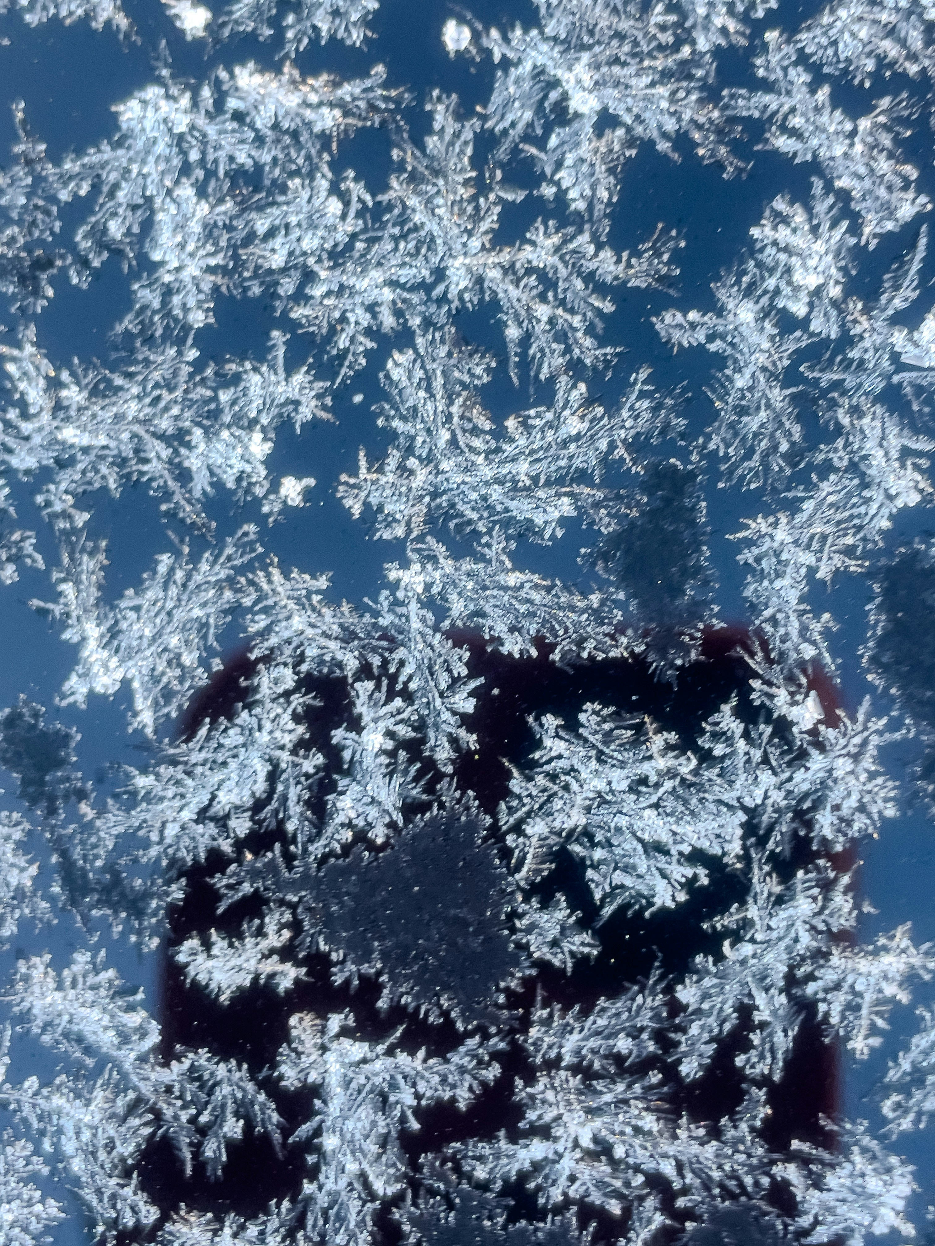 Frosted Veil on a Shiny Surface